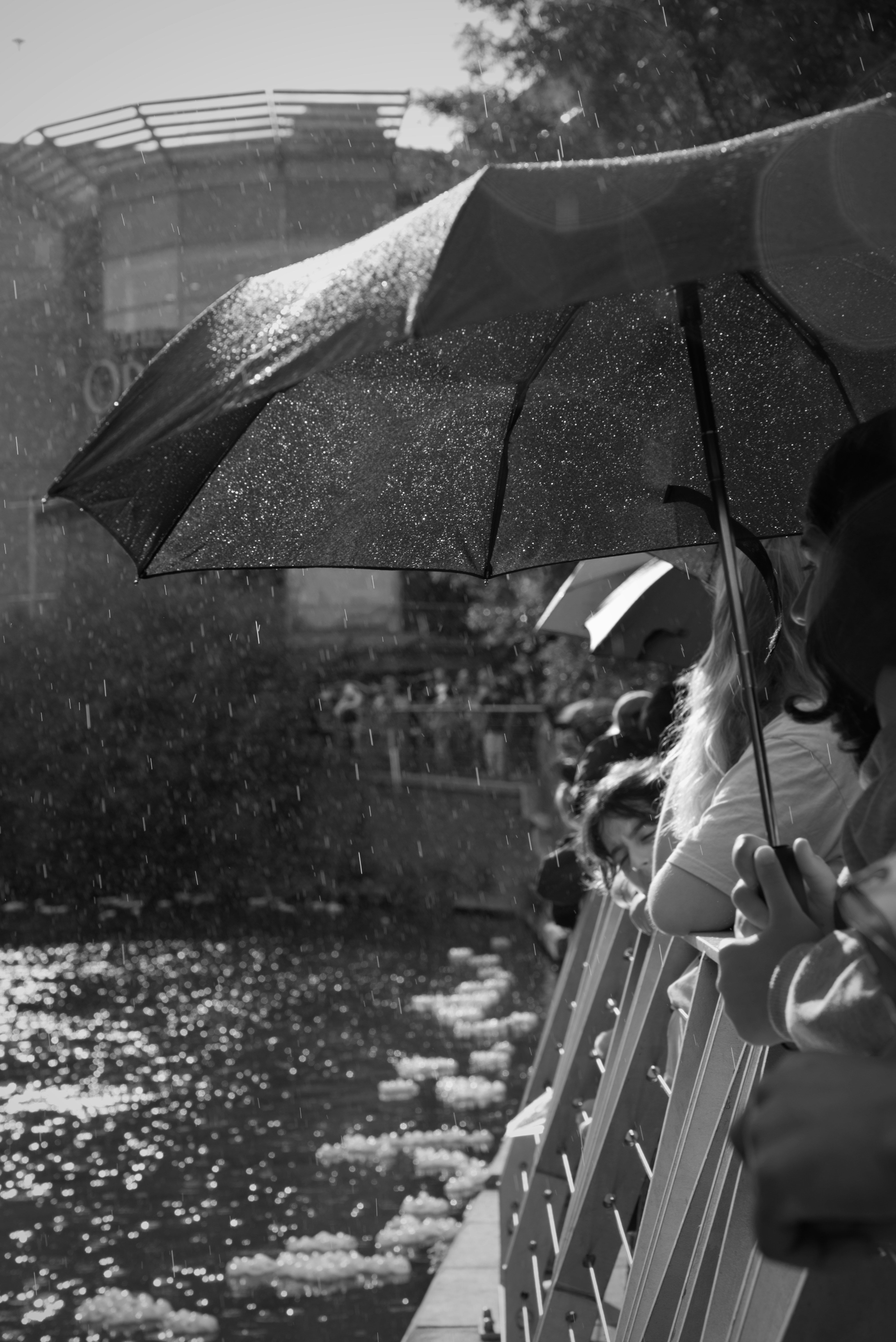 Reflections Amidst Raindrops
