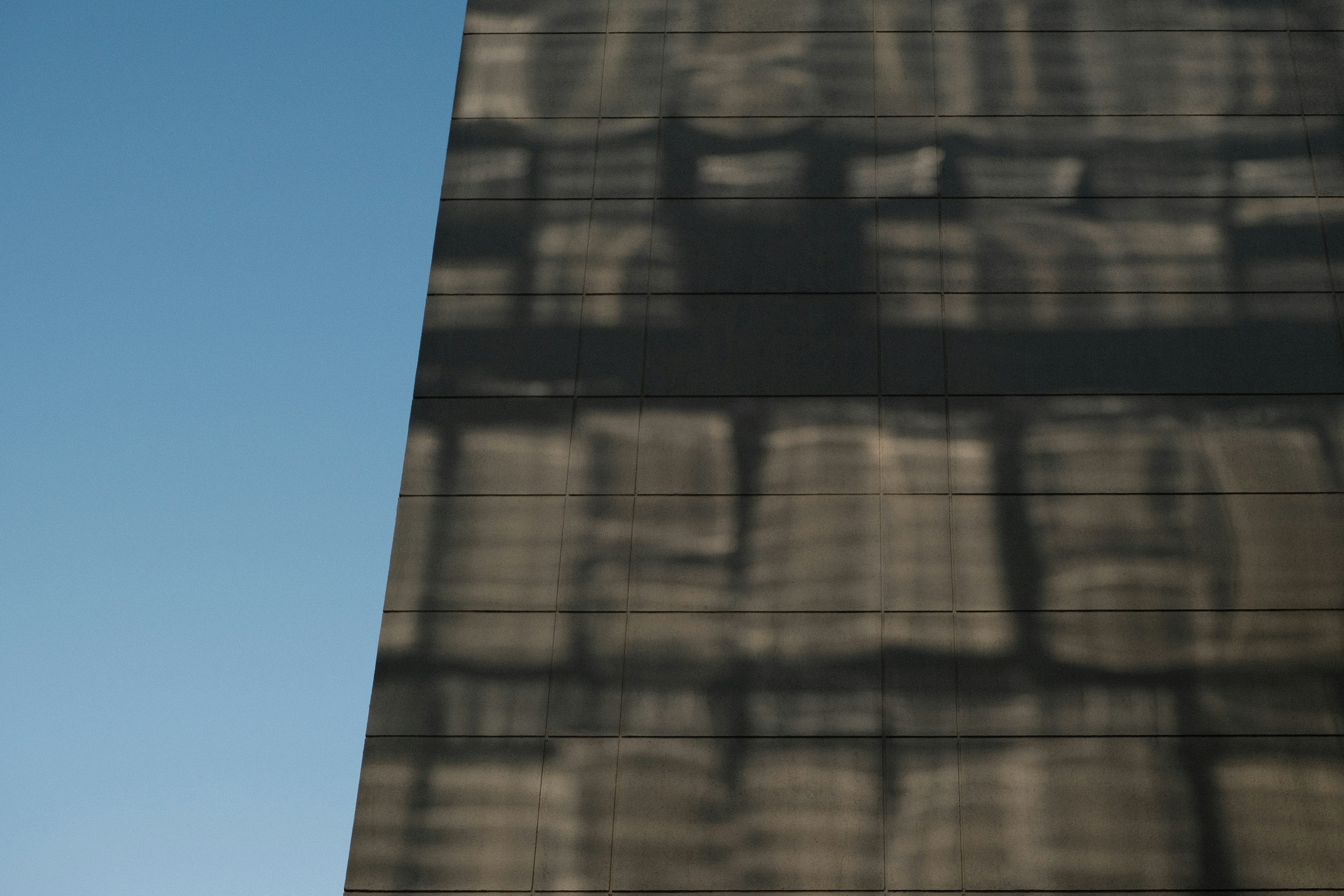 Photo by Igor Zelenov with Fujifilm X-T30 II