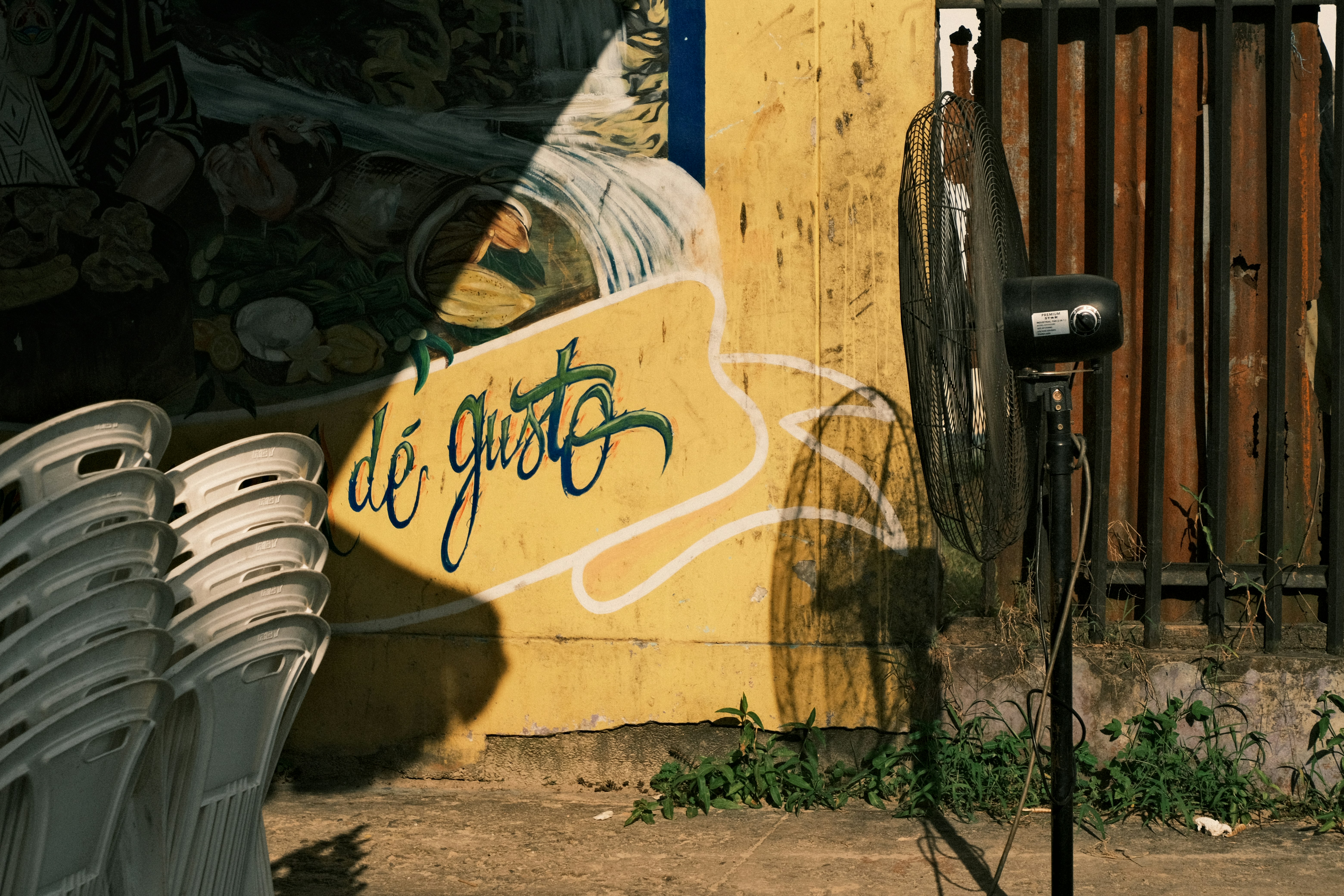 Whispers of Color in Urban Shadows