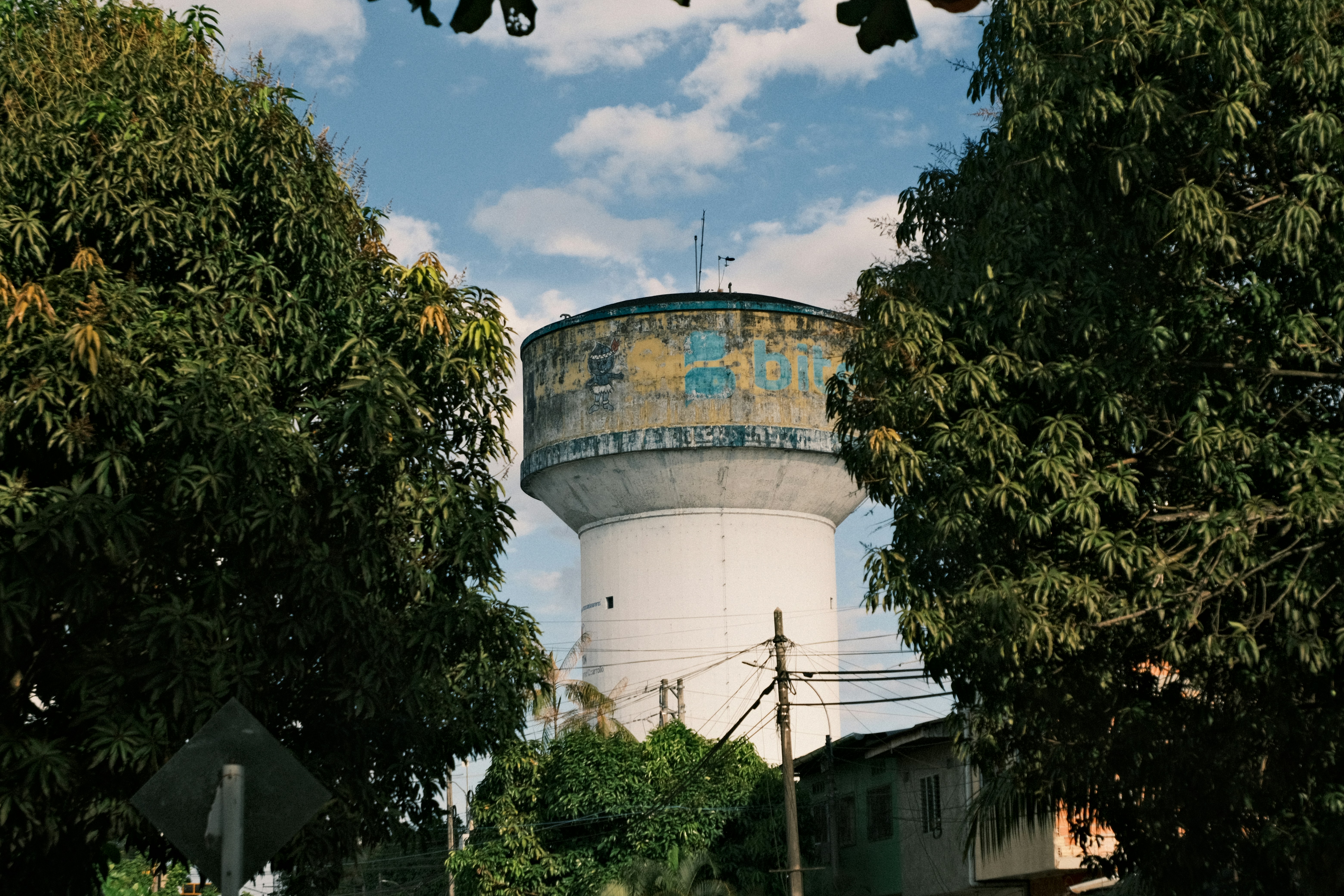 Urban Oasis: The Hidden Water Tower