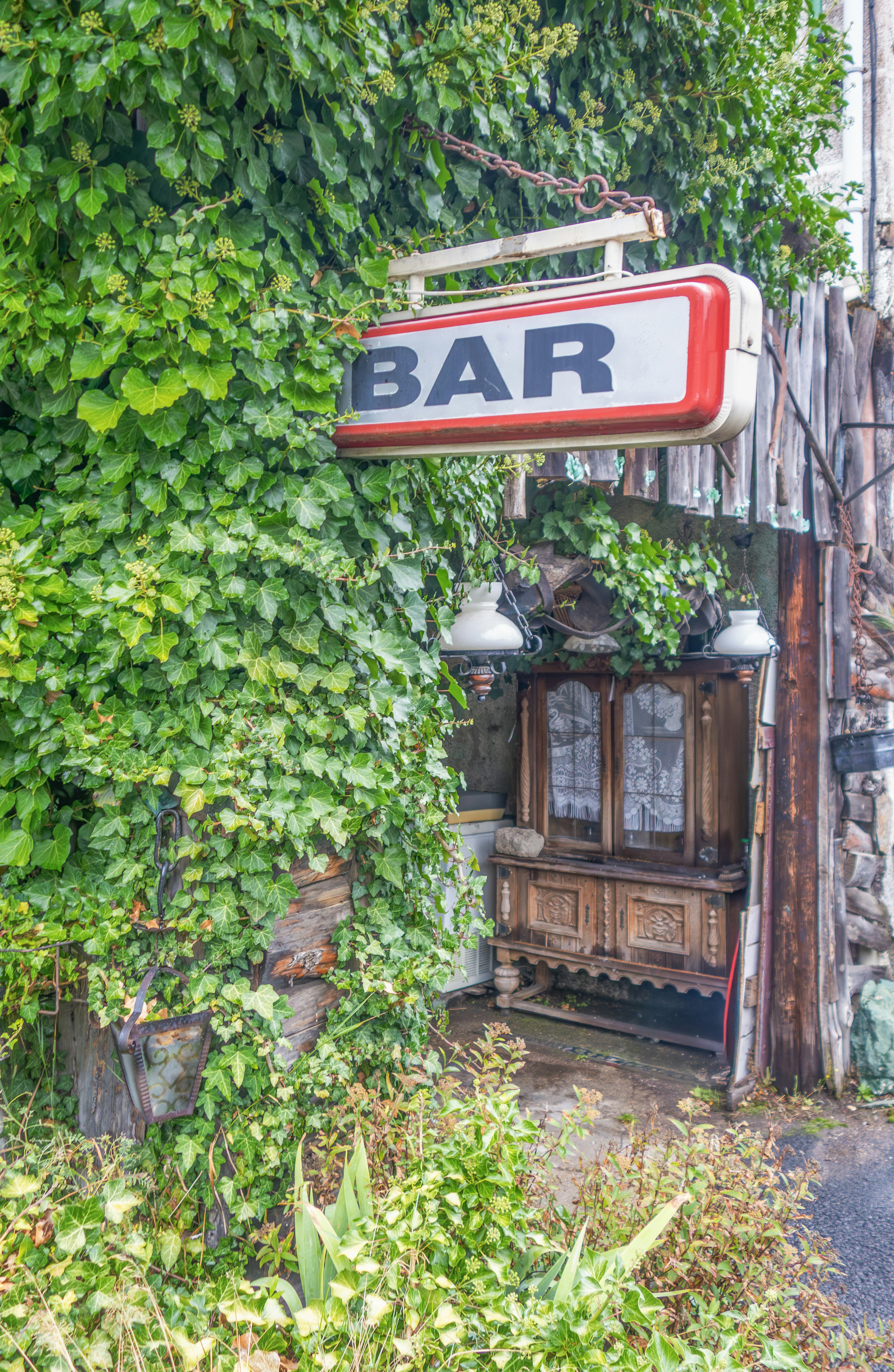 A rustic bar entrance partially concealed by lush green foliage, showcasing a blend of natural and man-made elements.