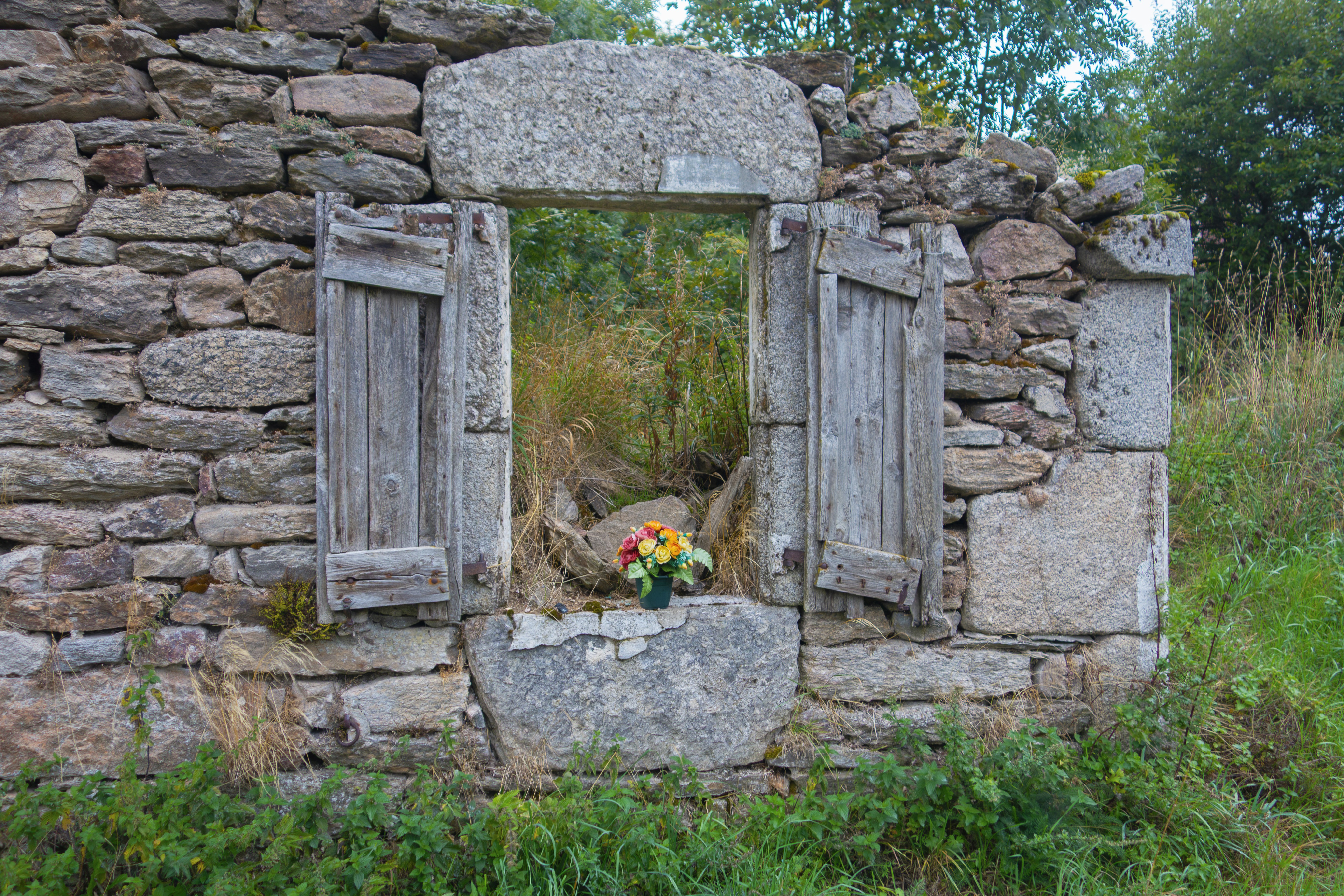 Sur ce chemin, l’homme ne conquiert rien. Il écoute. Il marche entre les pierres et les nuages, là où Stevenson jadis chercha le silence et la vérité. Chaque pas est une mémoire, chaque paysage une page ouverte. Ce n’est pas la France qu’on traverse, mais un monde en miniature — fait de lumière, de solitude, et d rencontres. | Bouquet of flowers on windowsill of ruined stone building