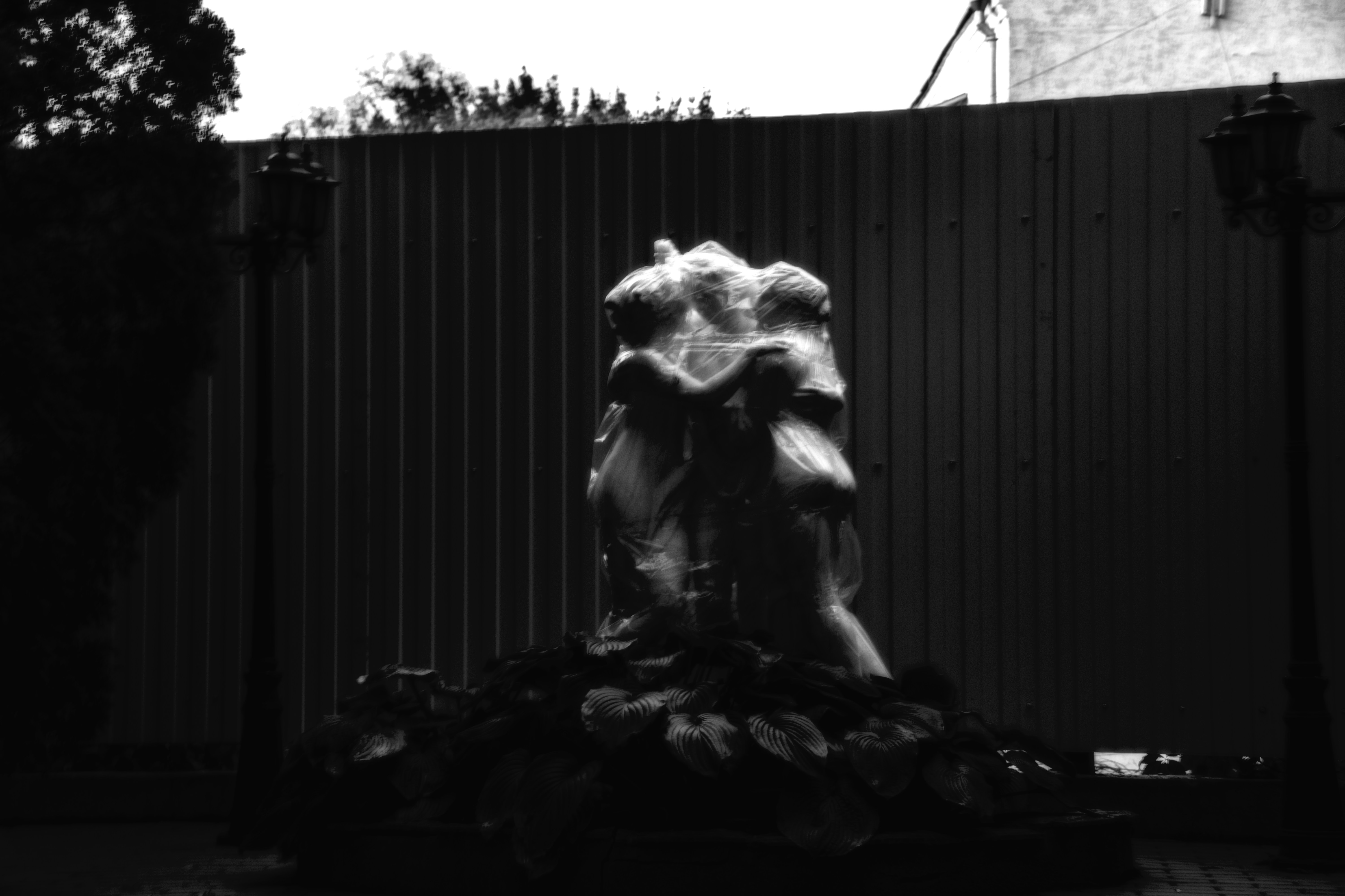 Whispers of Water: A Monochrome Embrace