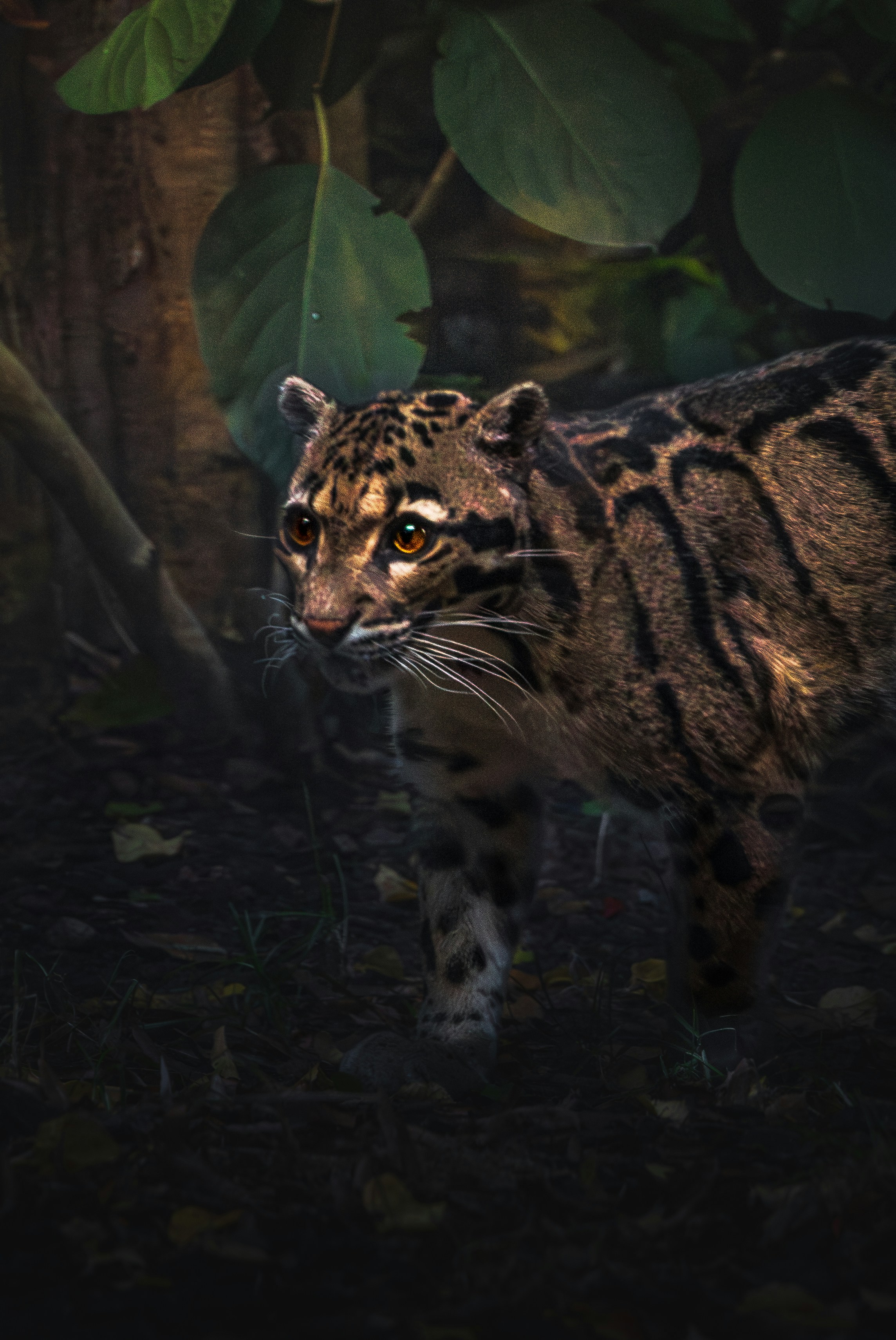 Sergey Antonov (@fabbulous) | Unsplash Photo Community