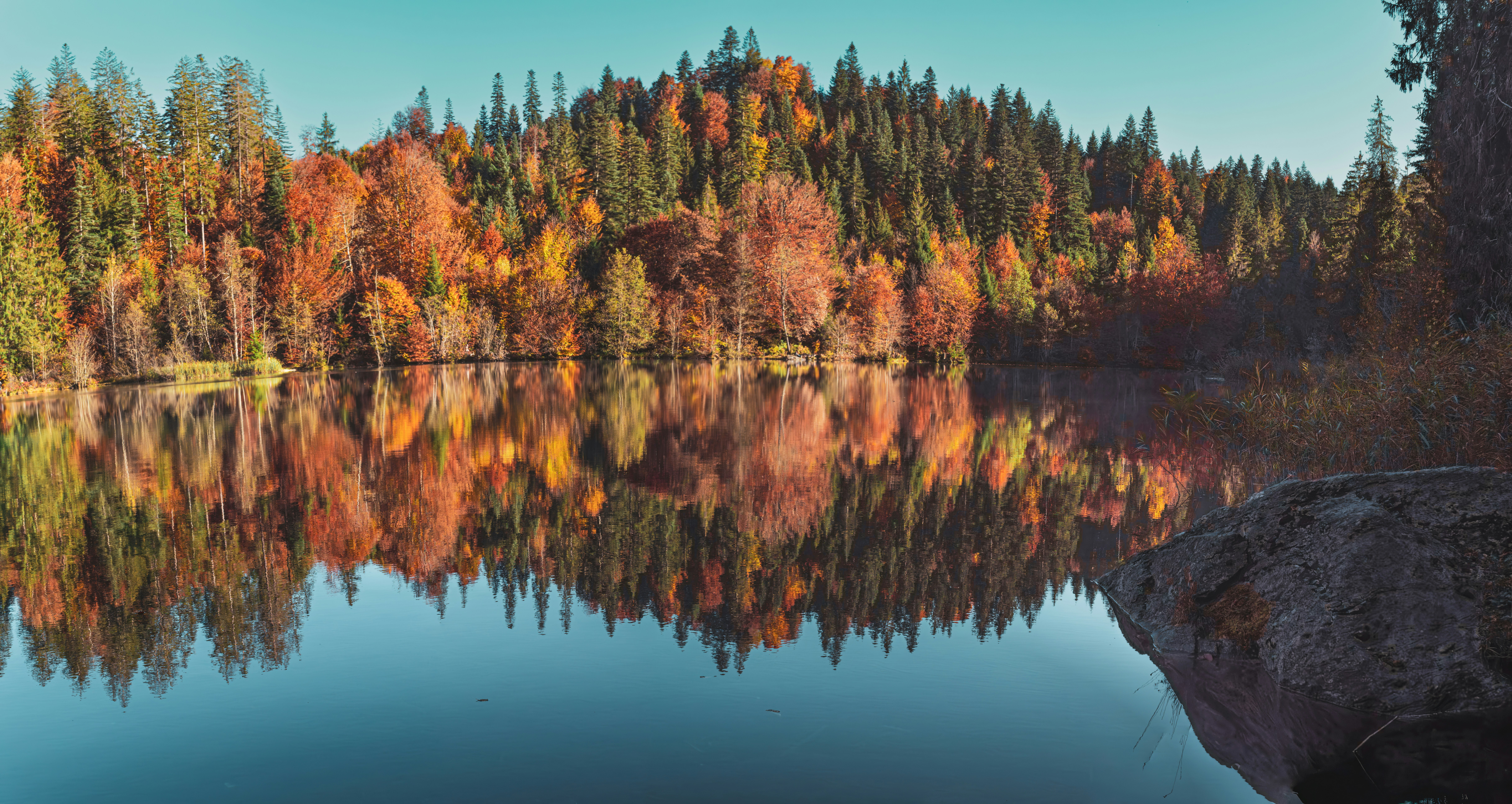 Autumn forest reflected in a calm lake photo – Free Forest Image on ...