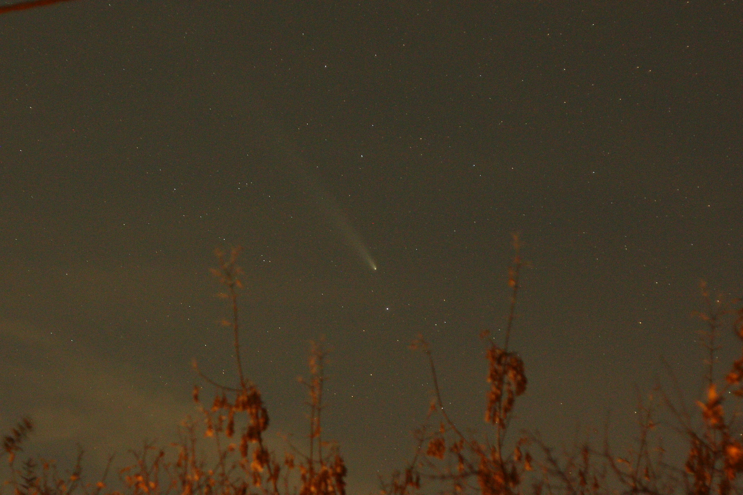 Comet streaking across a starry night sky.