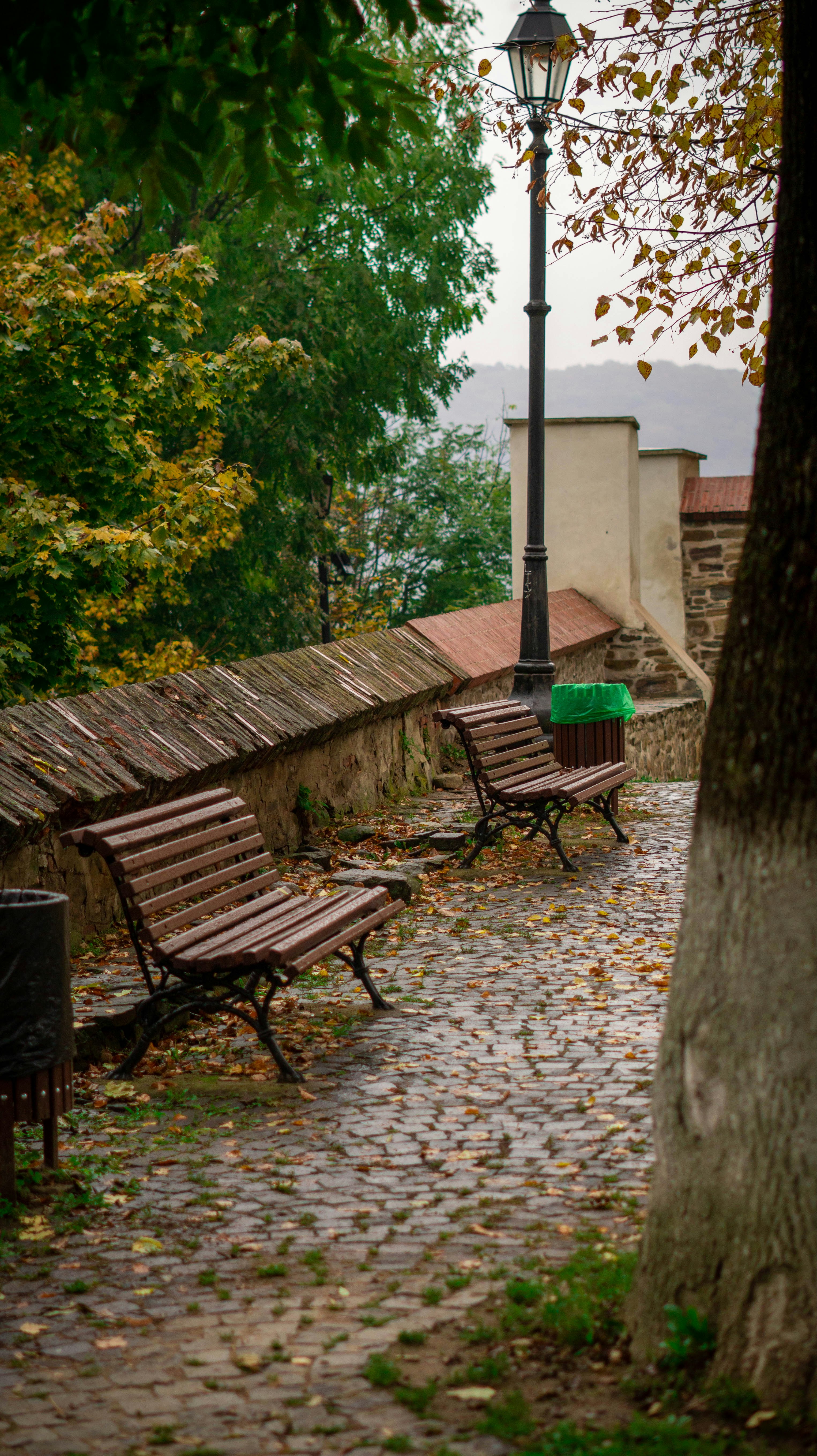 Autumn Light on a Cobblestone Promenade