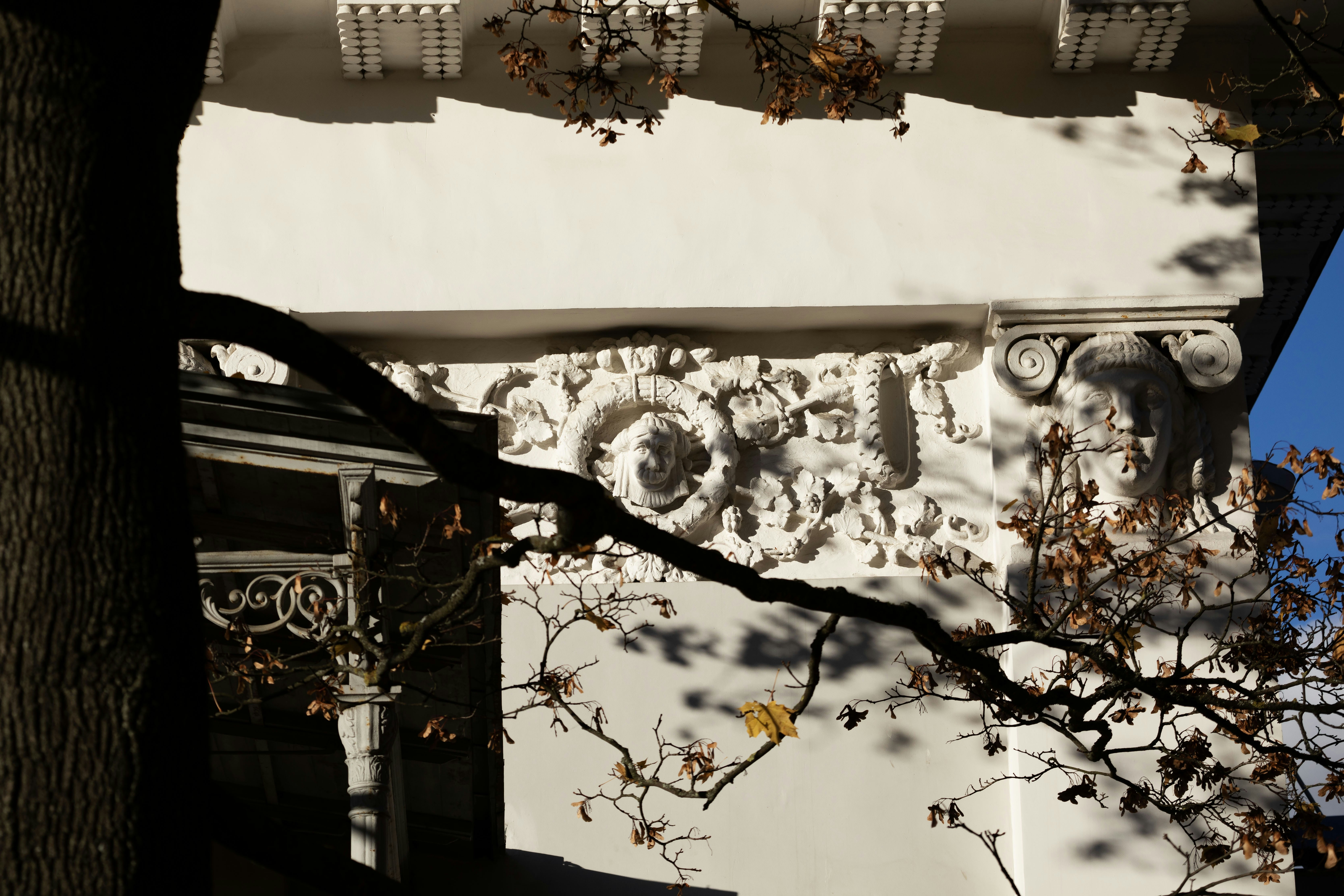 Whispers of Architectural Elegance