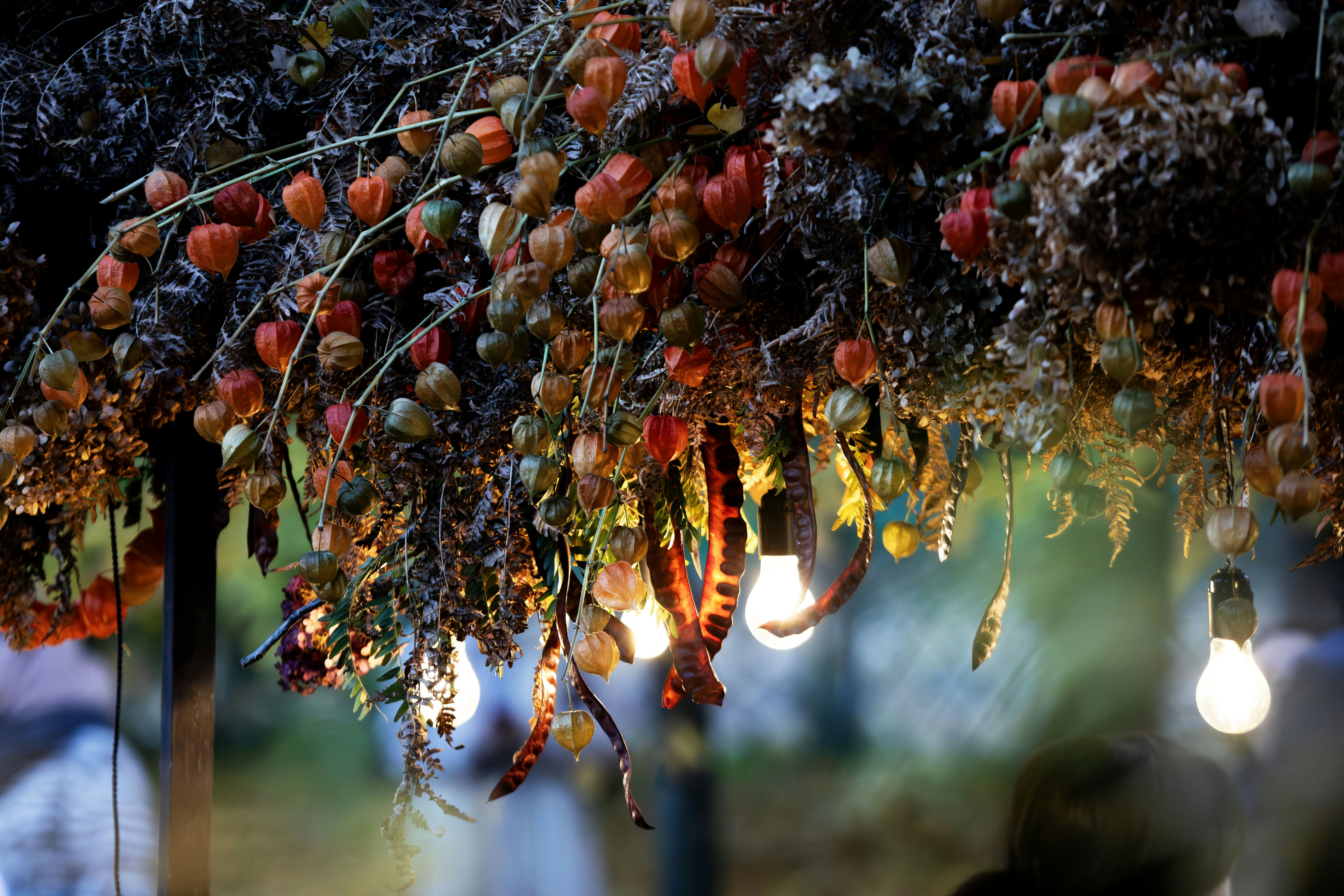 Lanterns Beneath Autumn Hangs: A Tangle of Hues and Light