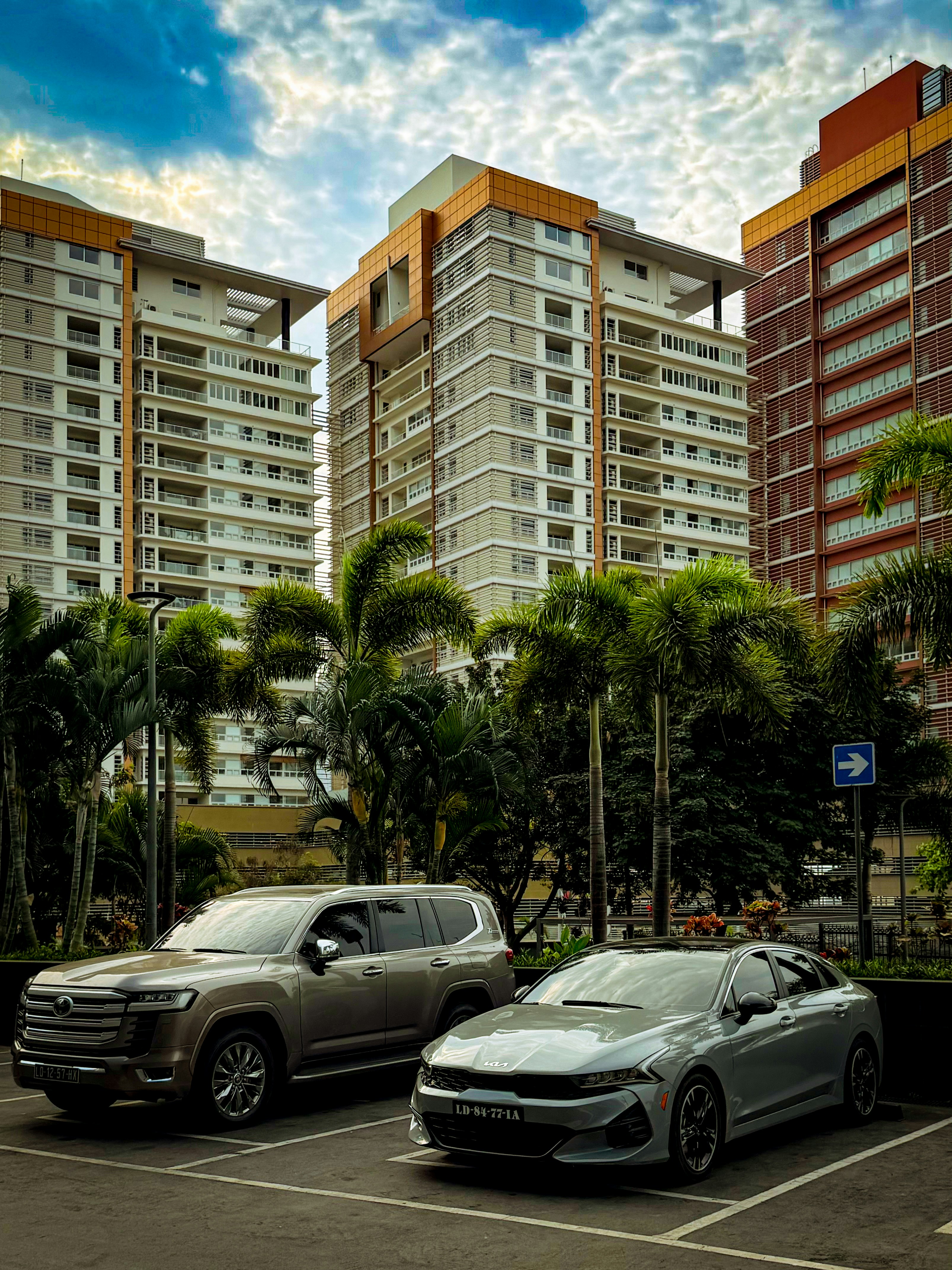 Chrome in the Shade of Skyscrapers: A Palm-Framed Parking Lot Scene