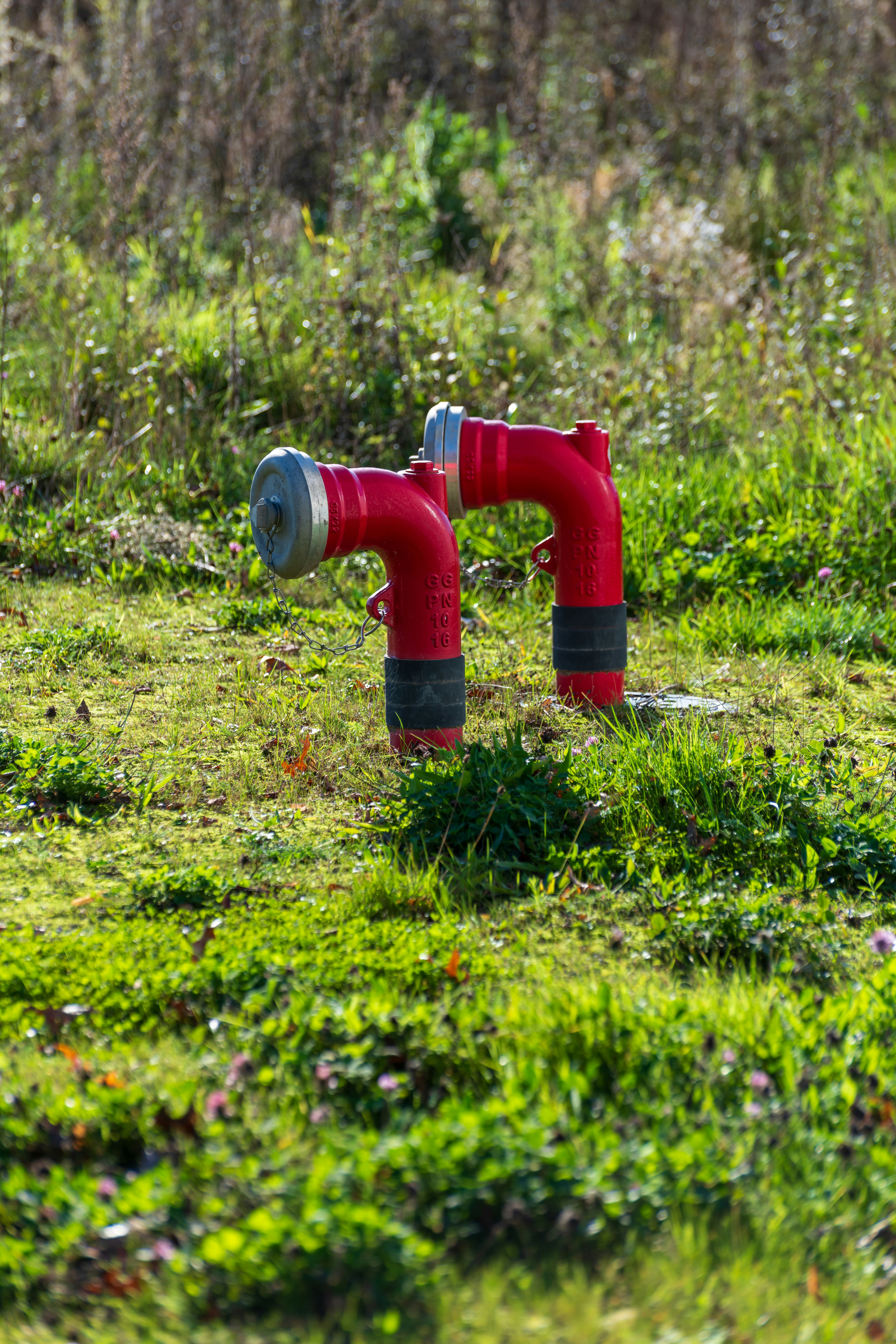 Vivid Guardians of Safety