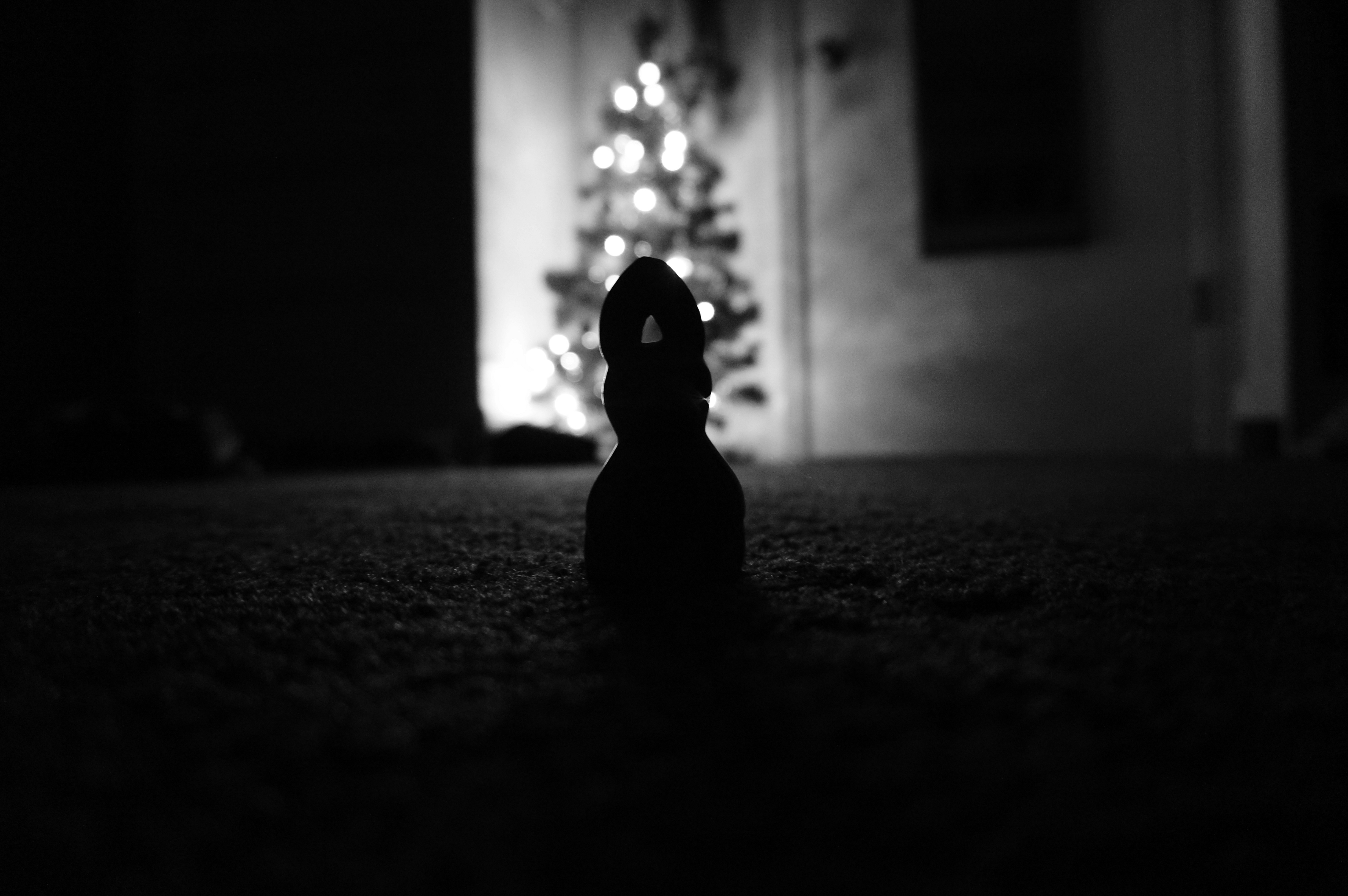 Hushed Silhouette Beneath a Christmas Glow