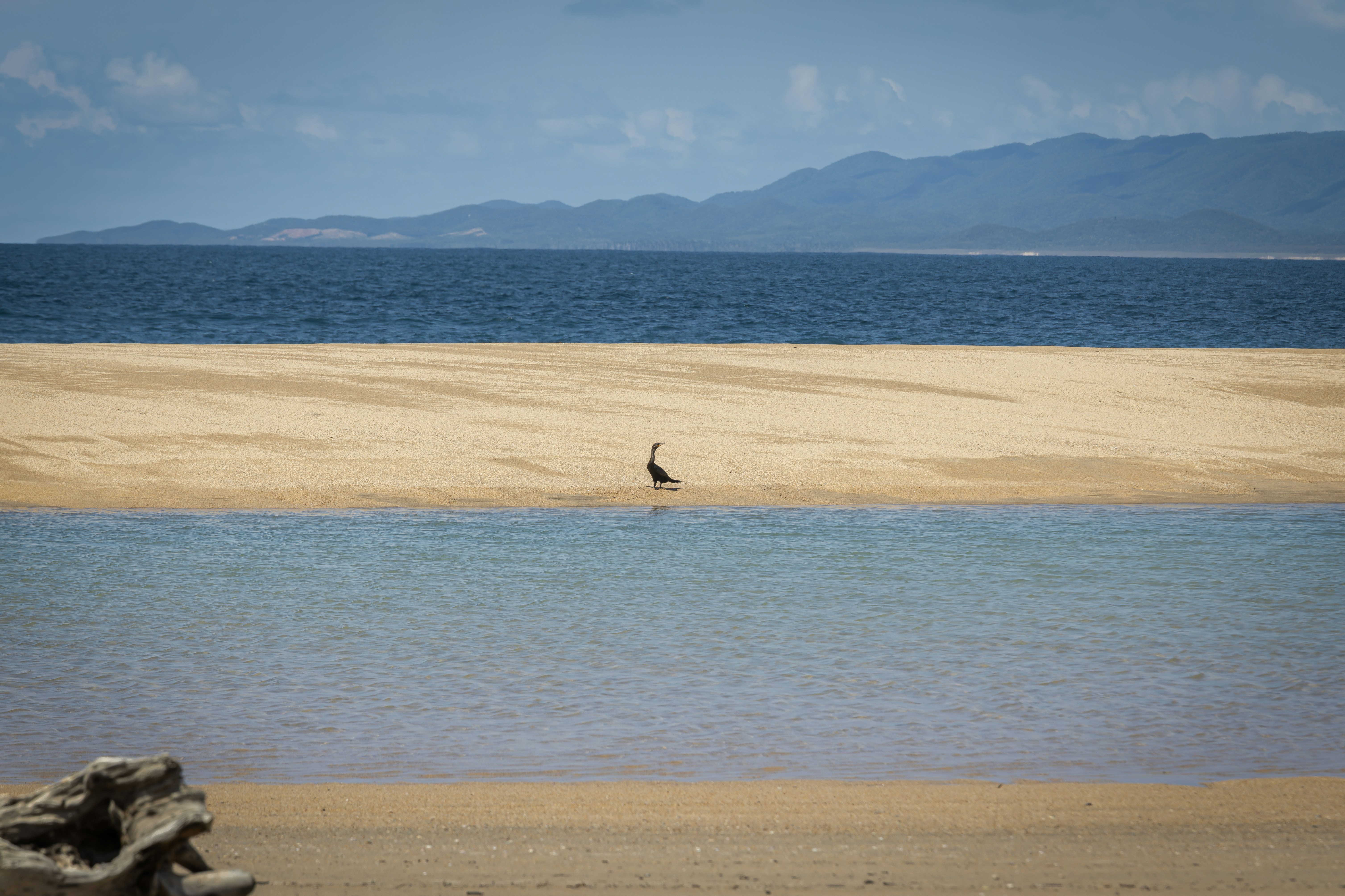 Serenity by the Shoreline