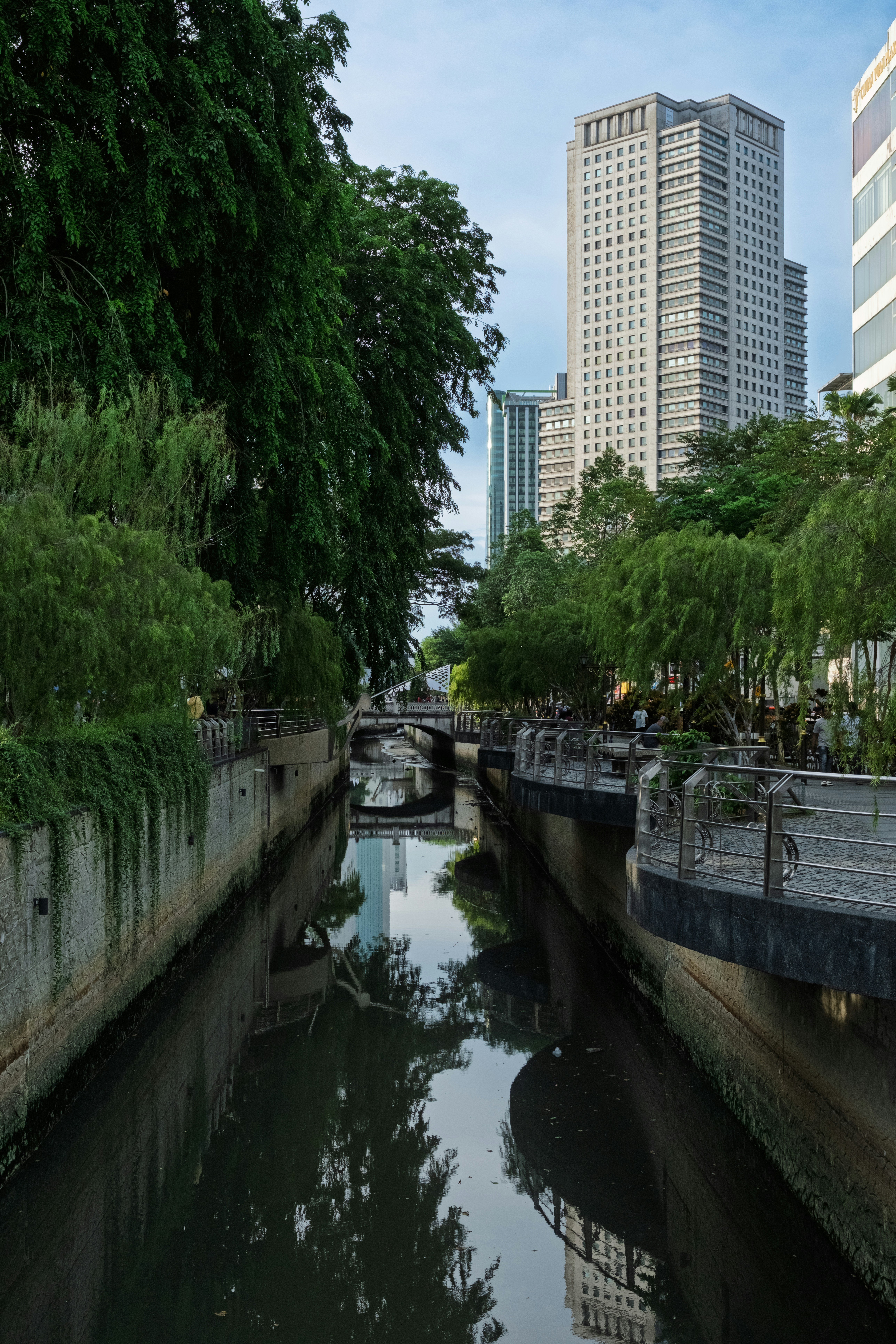 Canal Reflections Under Urban Canopy