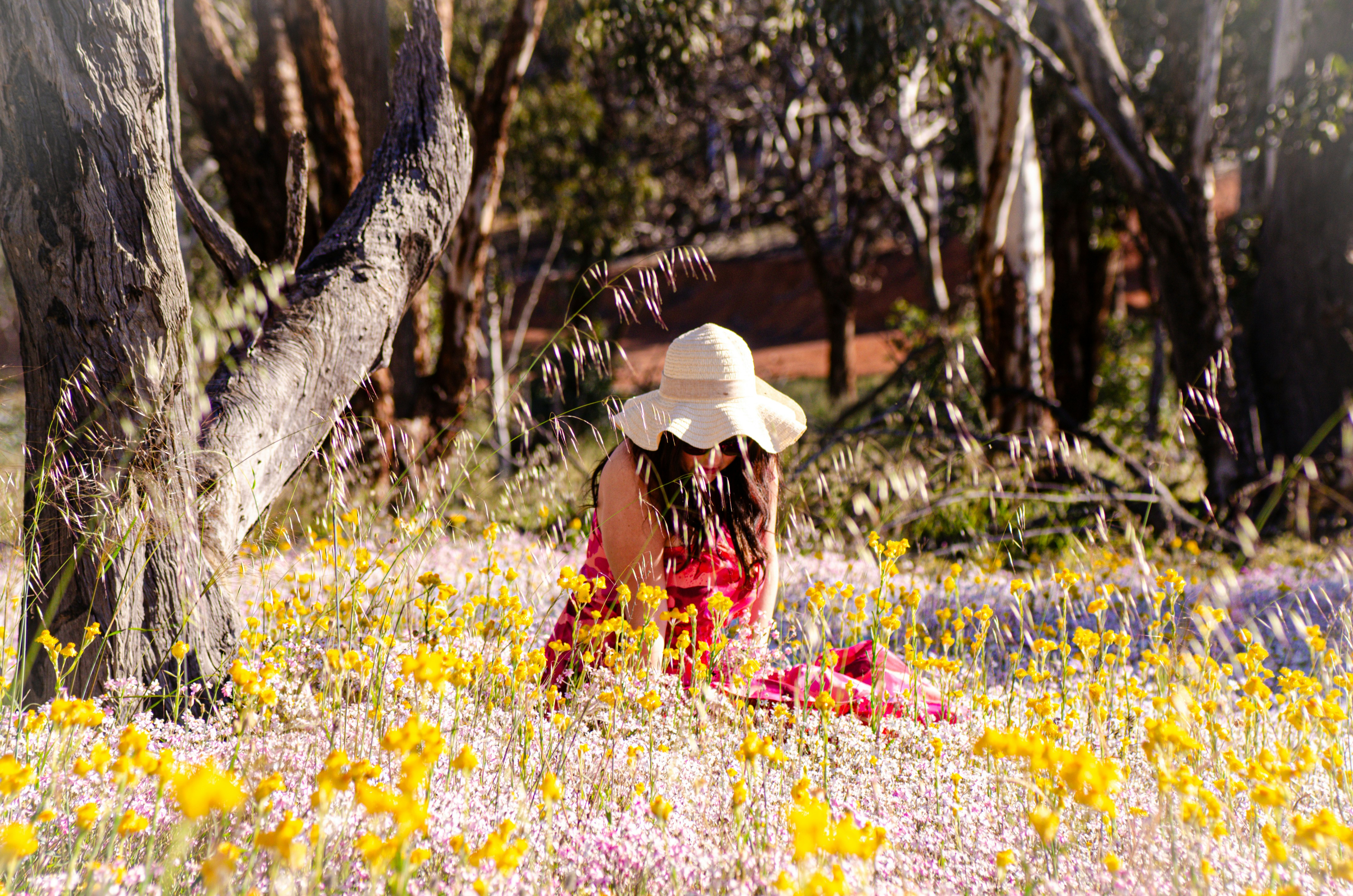 Woman in hat sits in field of yellow flowers.