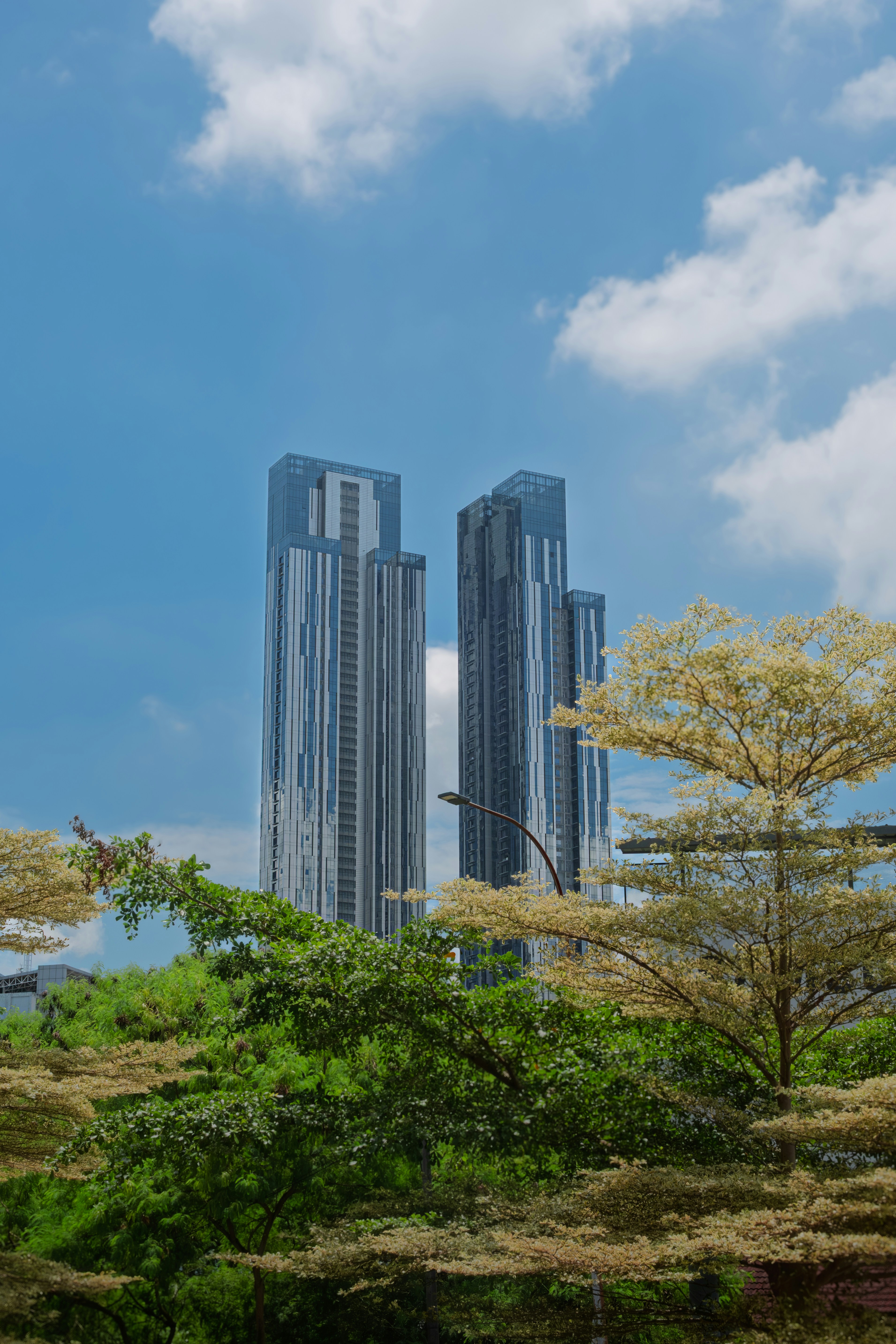 Urban Towers Amidst Nature's Embrace