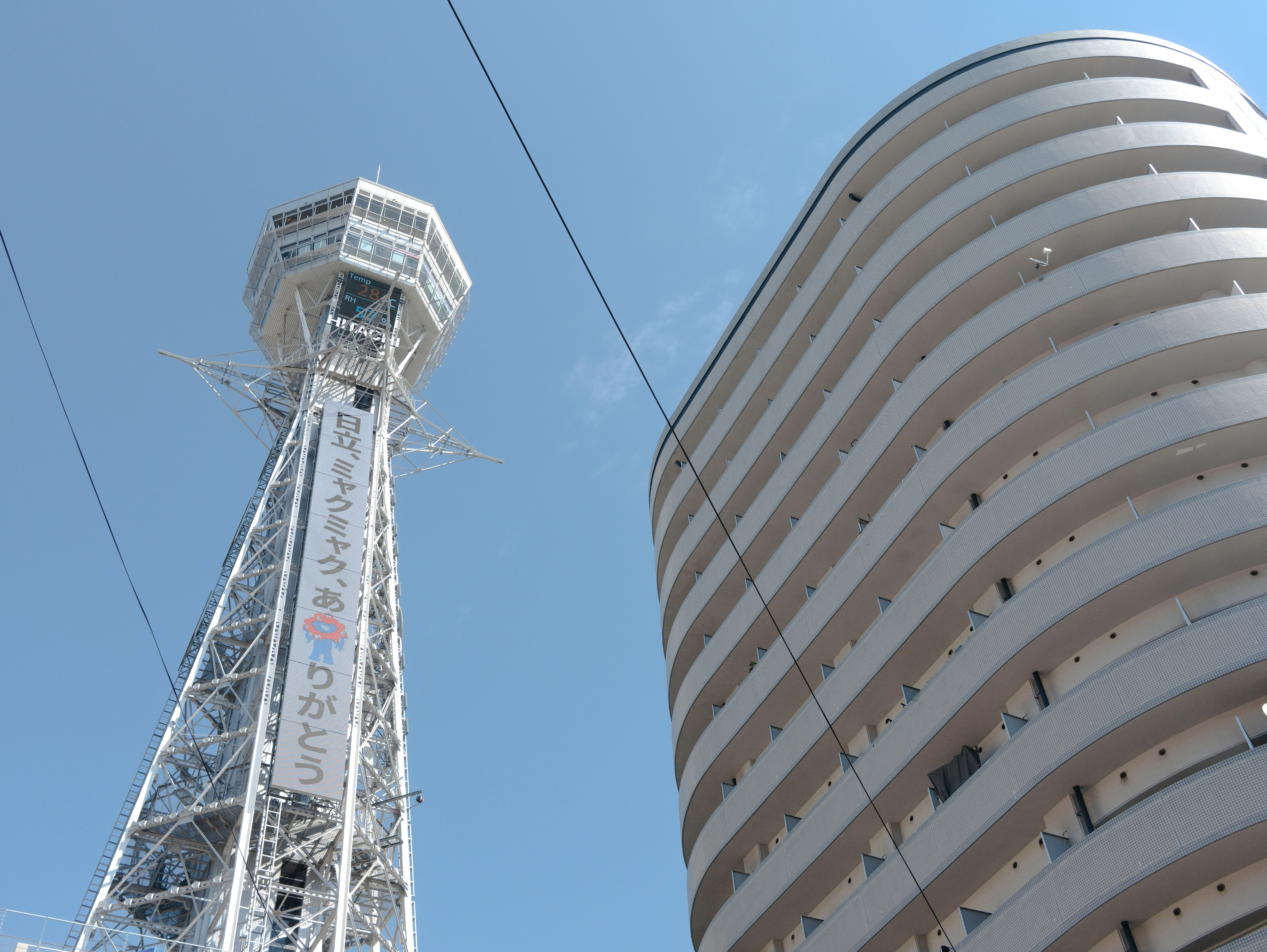 Urban Harmony: A Dance of Steel and Curves