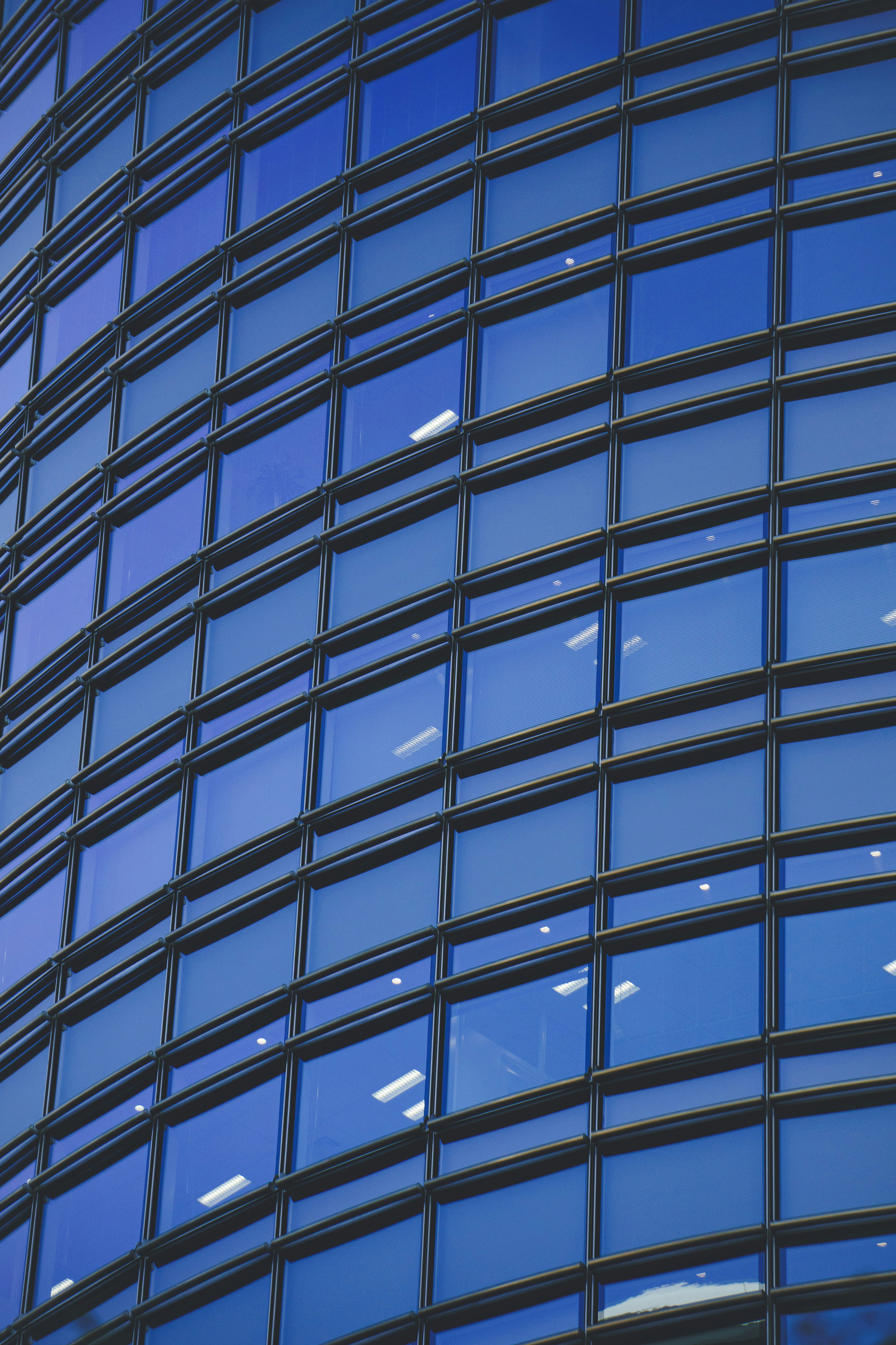 Abstract view of a modern building's curved glass facade, showcasing a grid of blue-tinted windows reflecting light. 