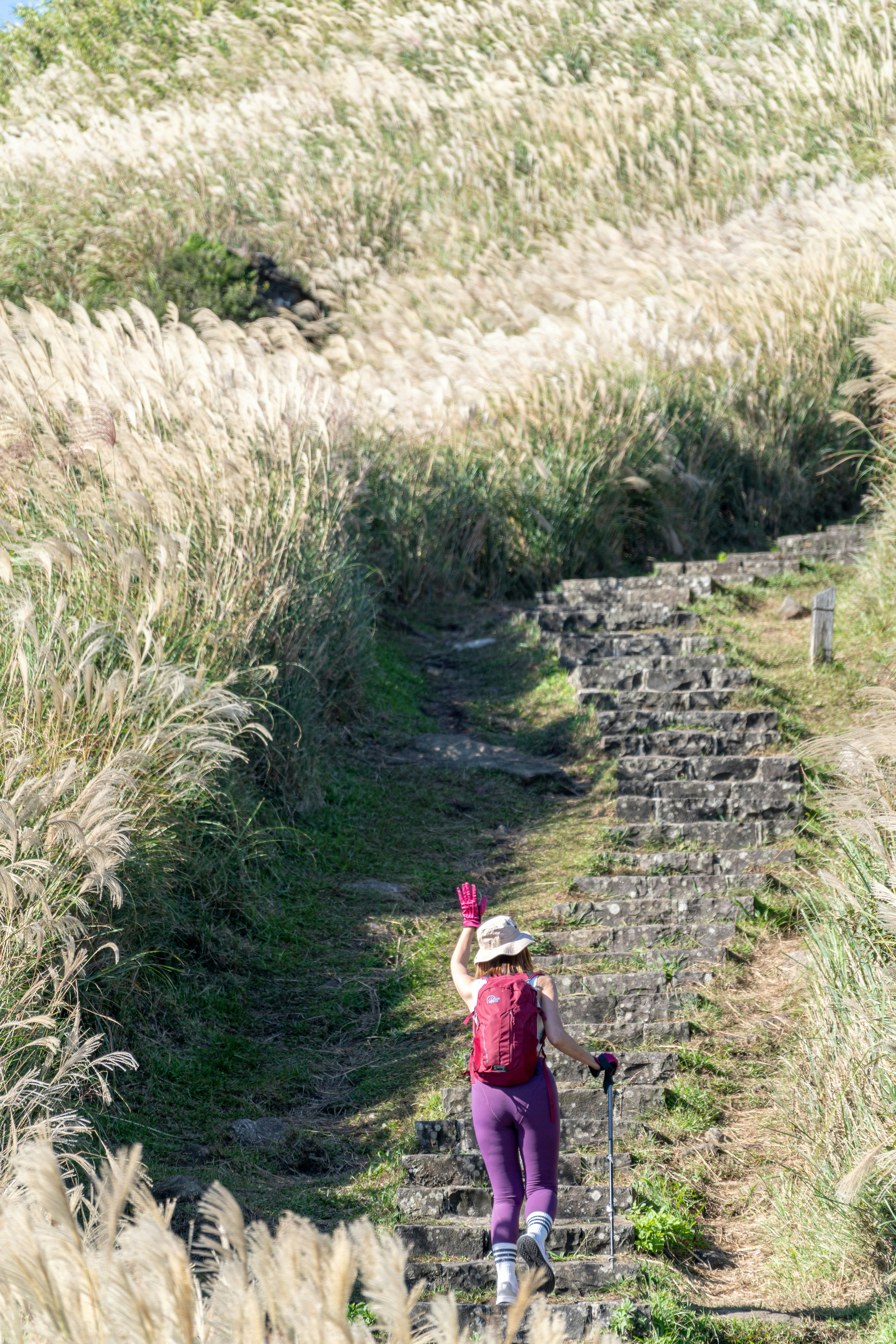 A Hiker's Wave Up a Mossy Staircase Fringed by Pampas Grass
