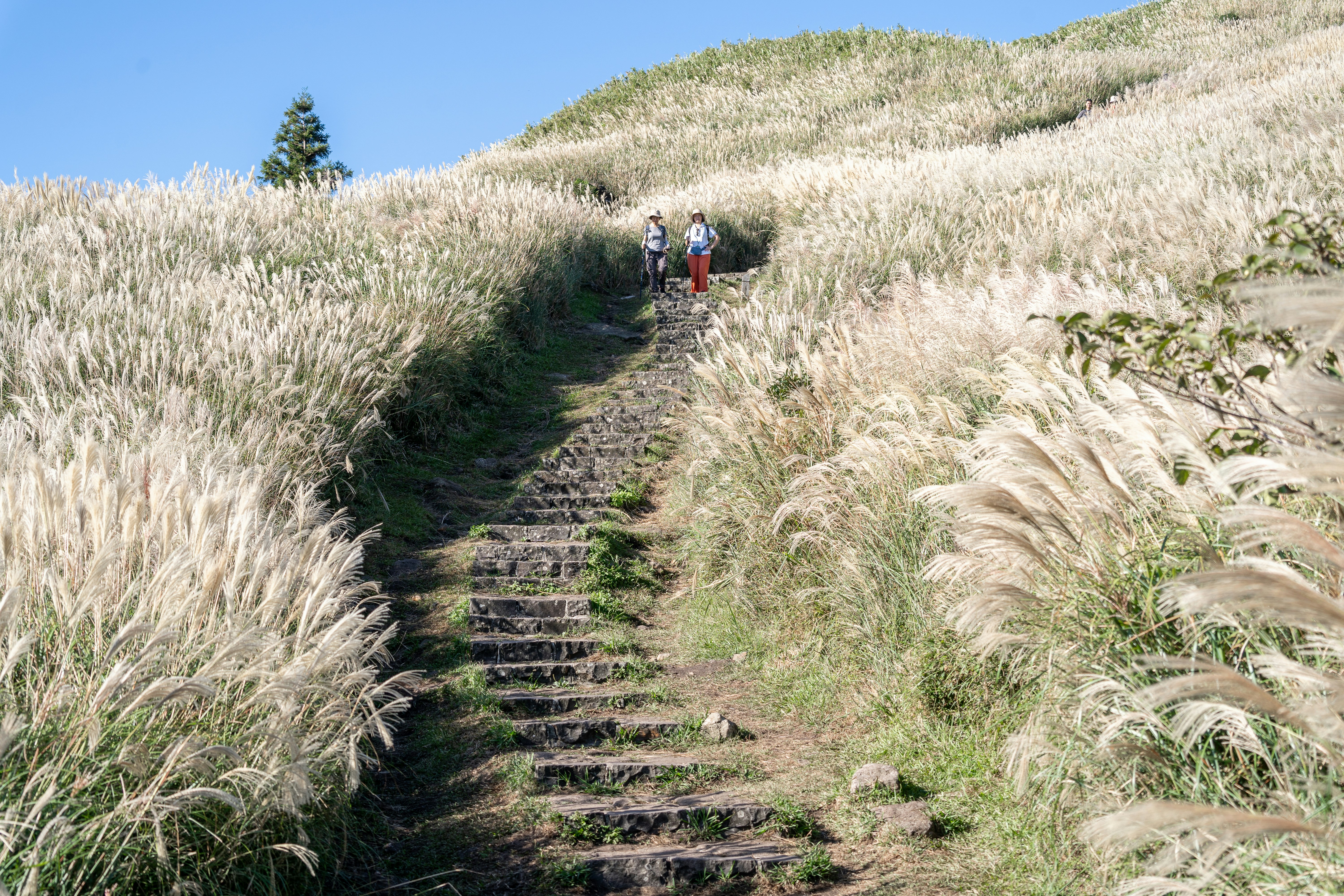 Stone steps ascend grassy hill with people walking