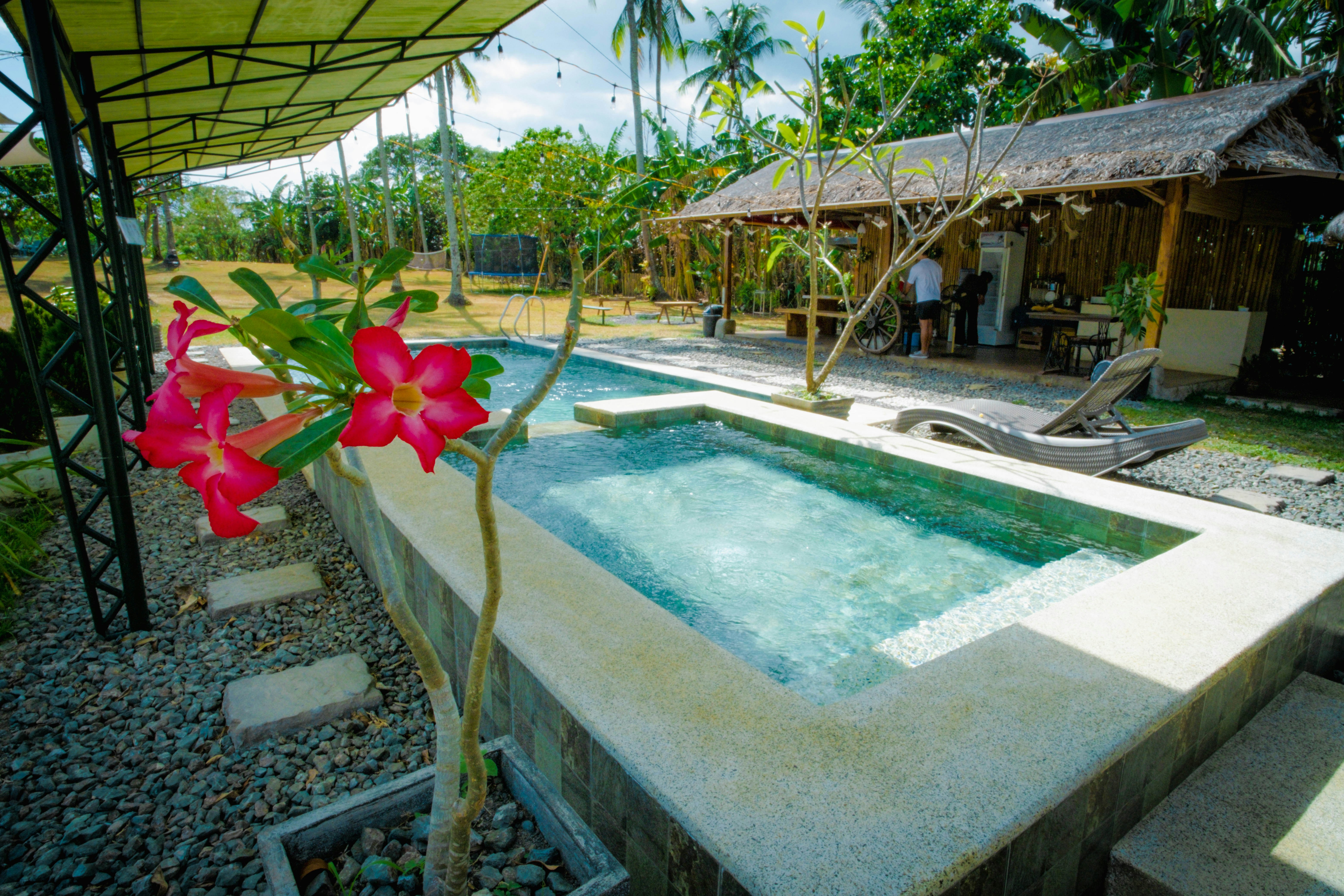 Serenity by the Poolside: A Tropical Retreat
