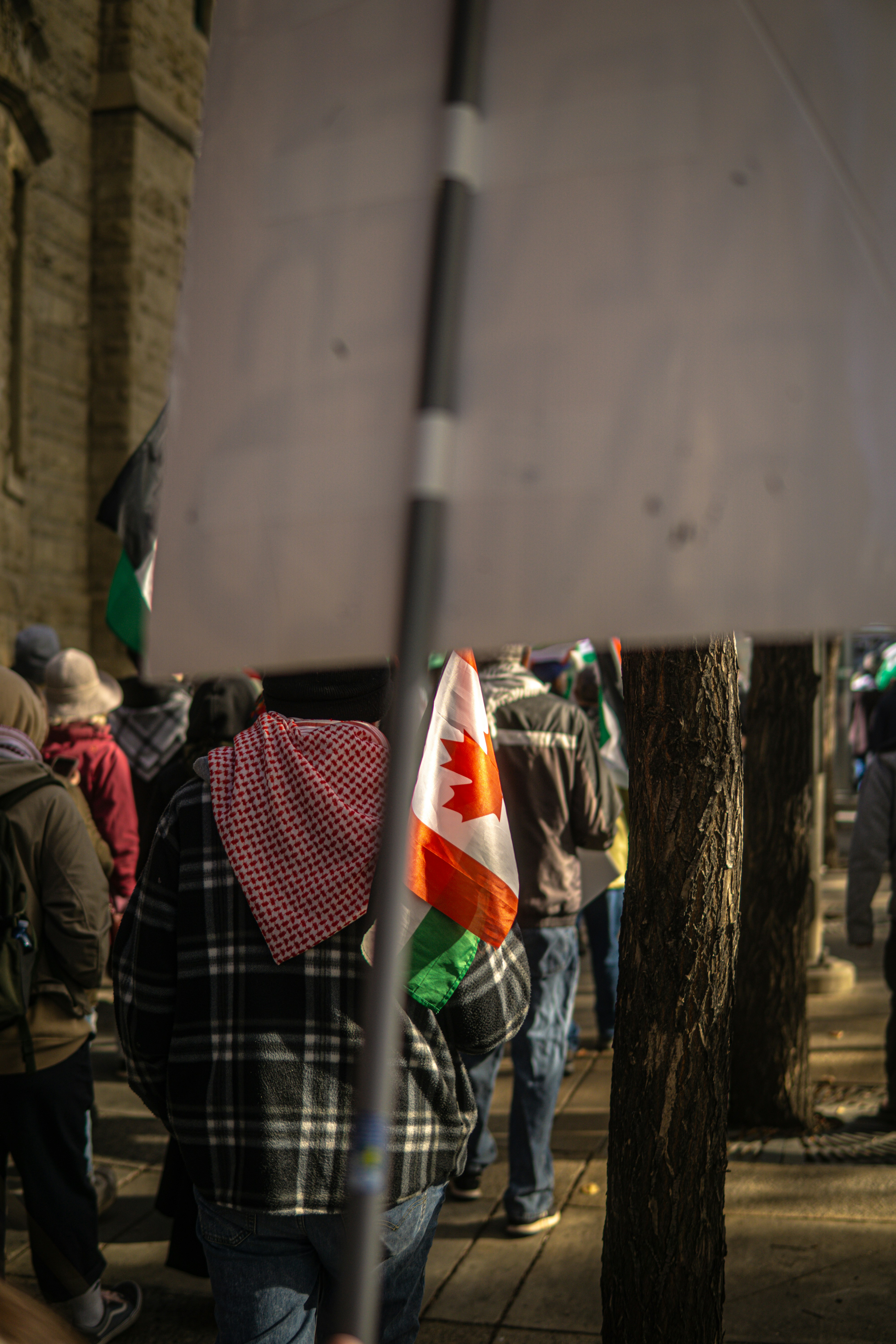 Unity in Diversity: A Gathering of Voices