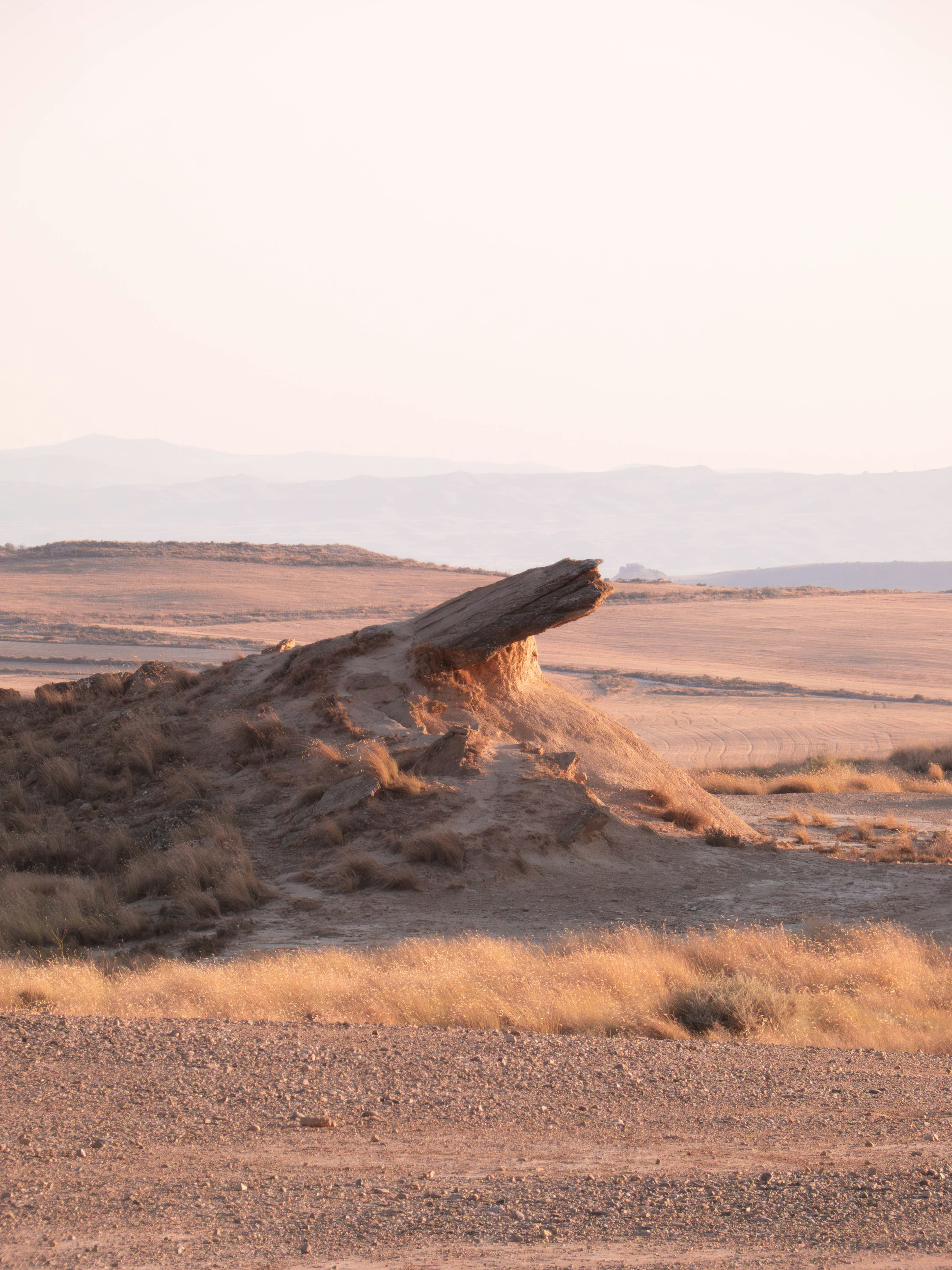 Nature's Sculpted Sentinel