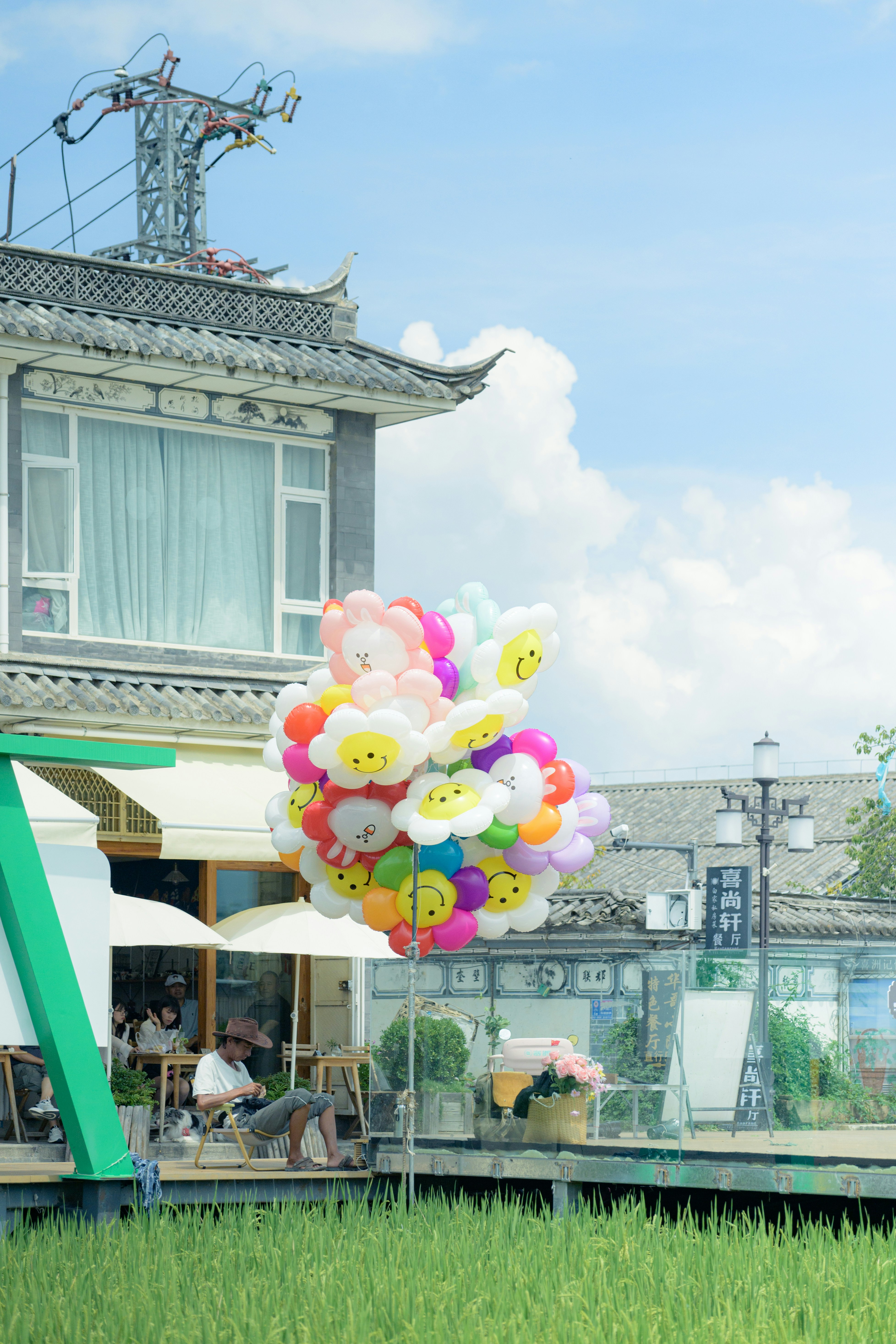 Whimsical Balloons Amidst Tranquil Surroundings