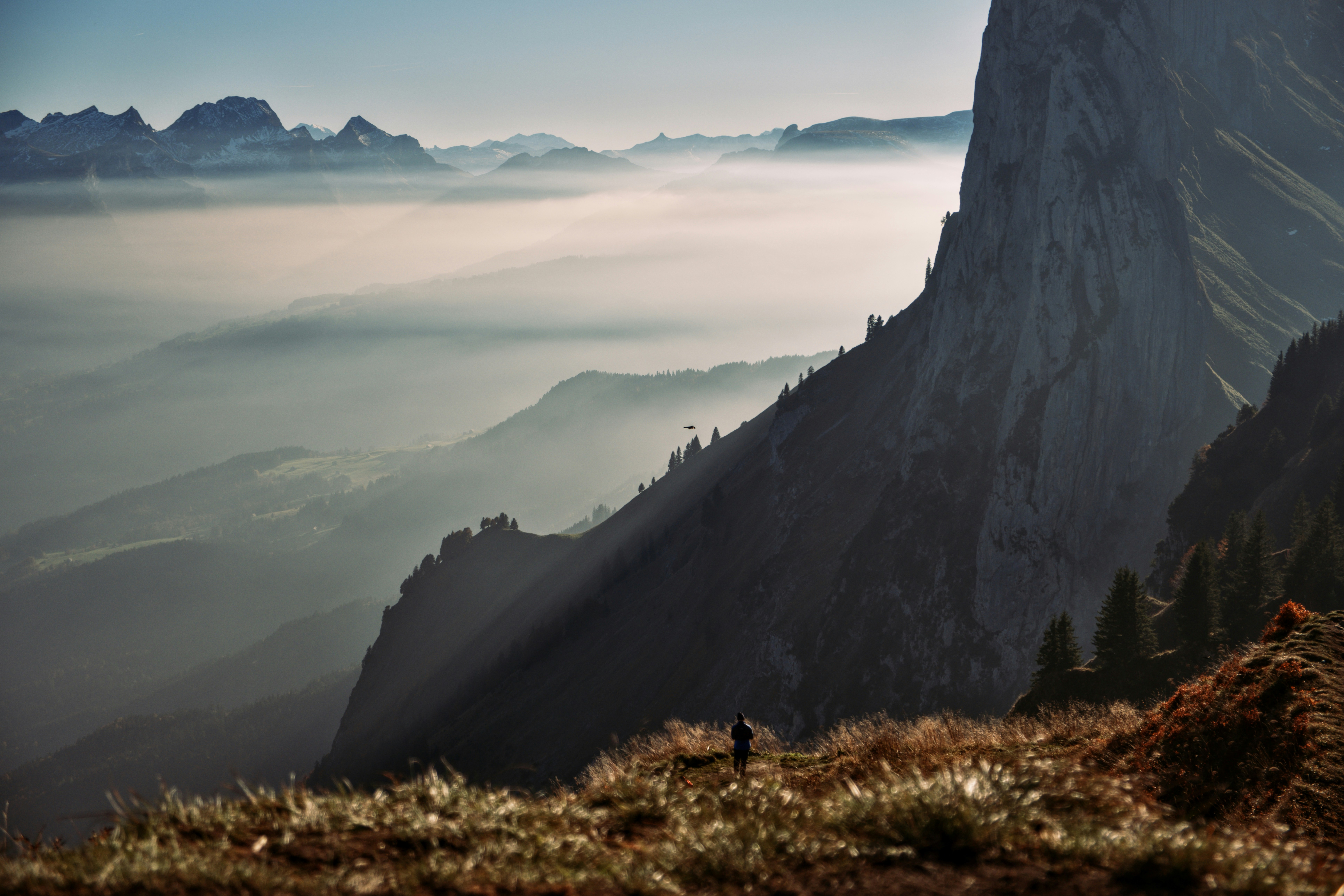 Whispers of the Mountain: A Journey into the Mist