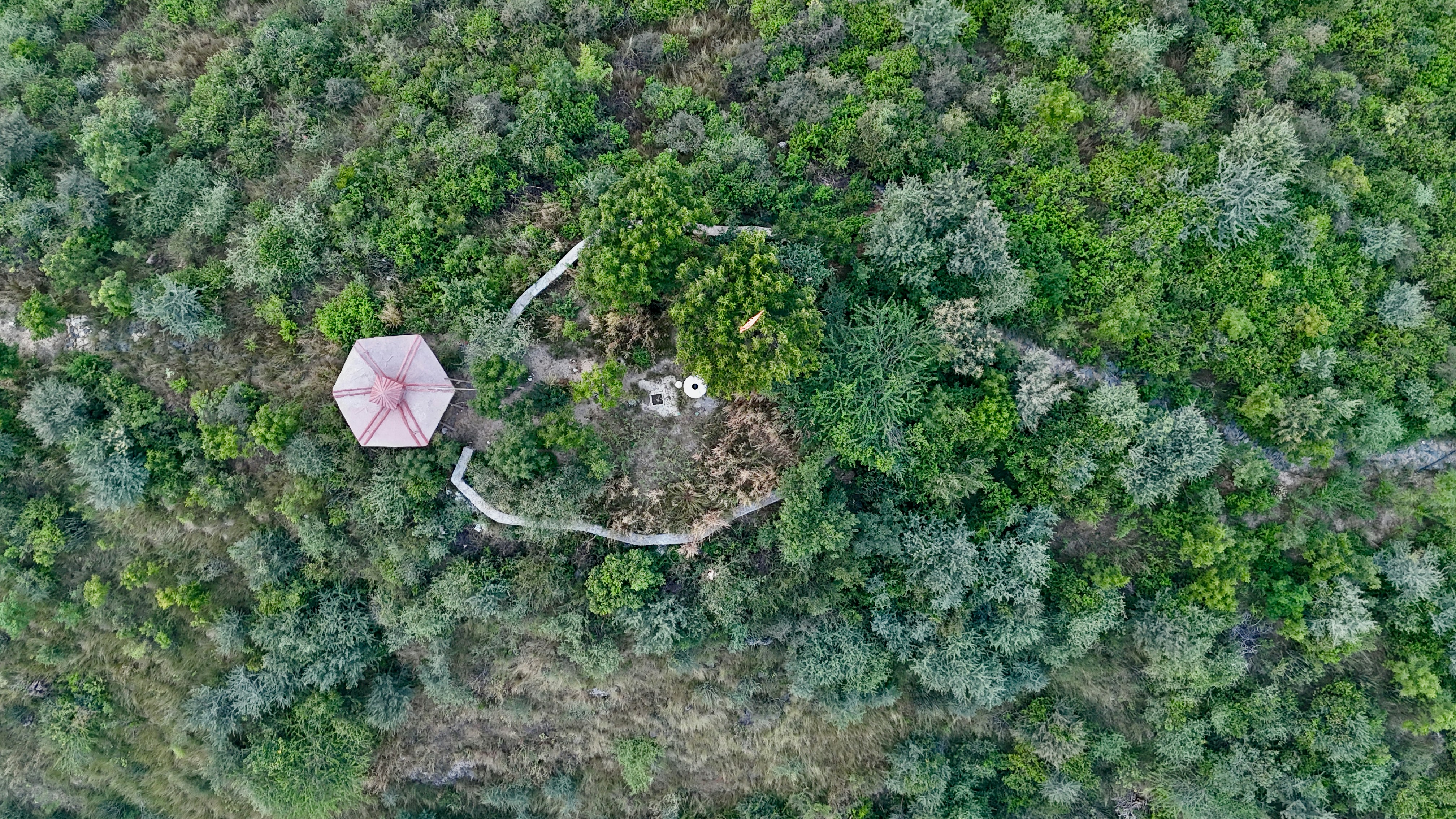 The Hidden Pavilion Amidst Lush Greenery
