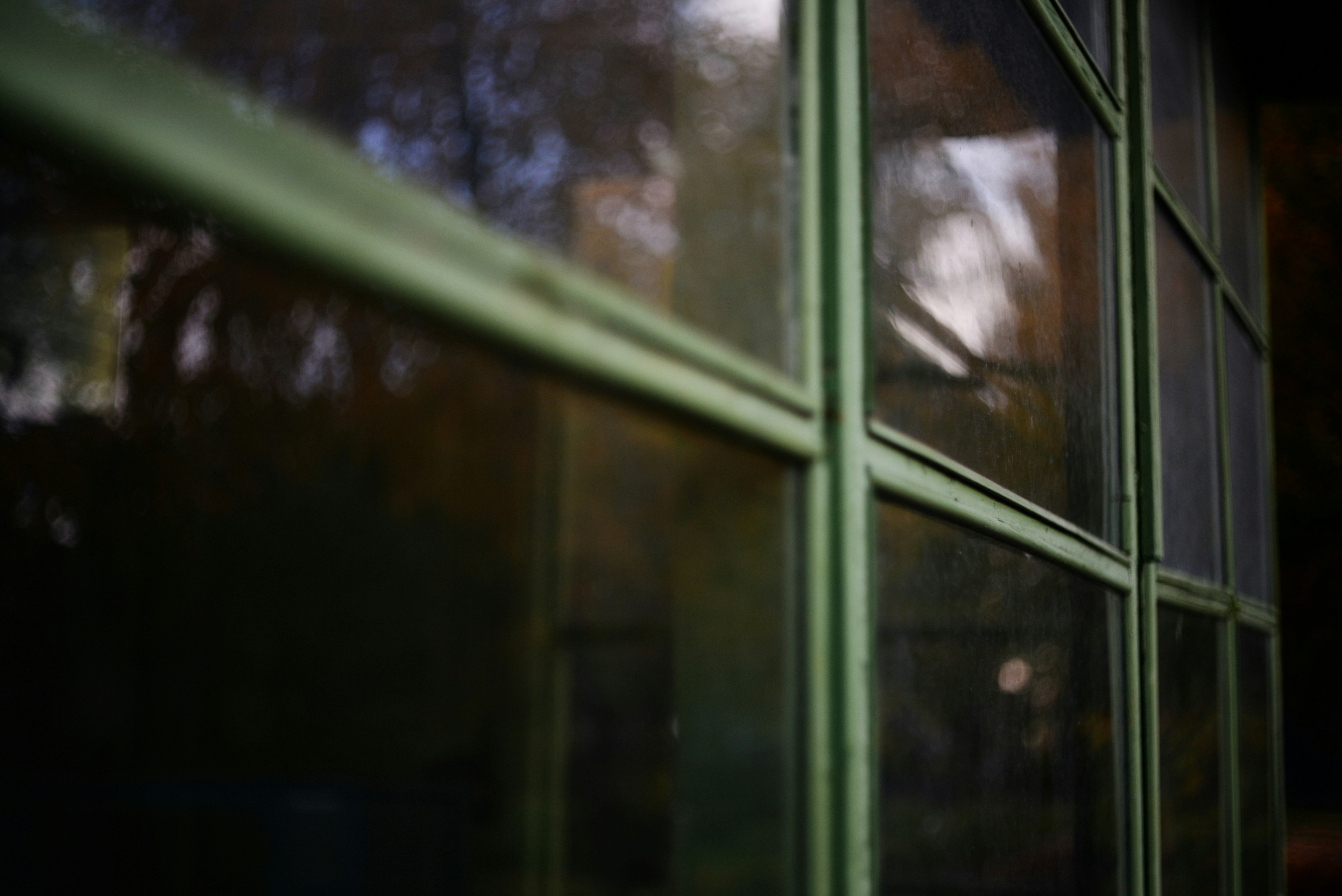 Green window frames reflect blurred trees and sky