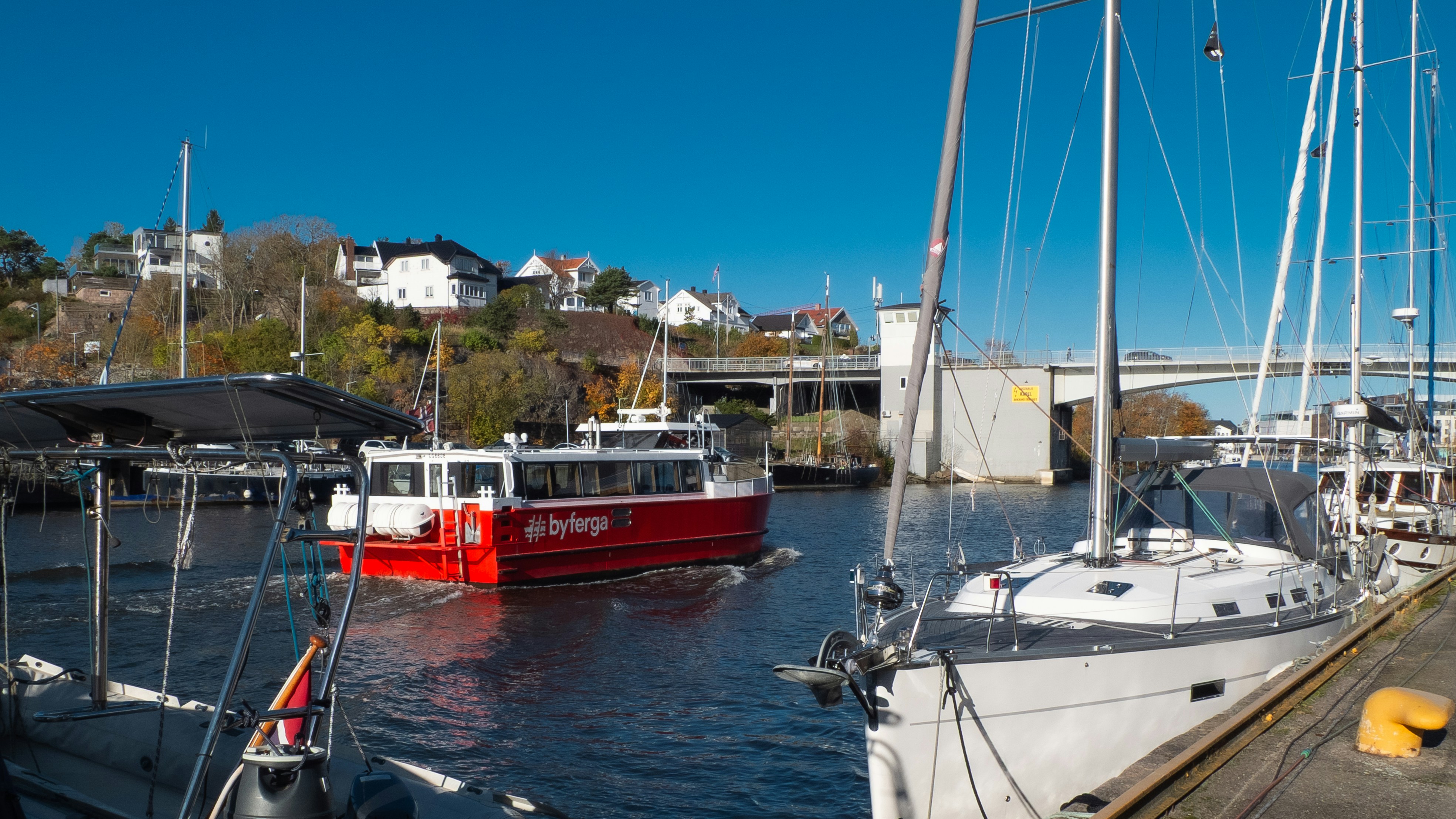 Harbor Harmony: A Day on the Water