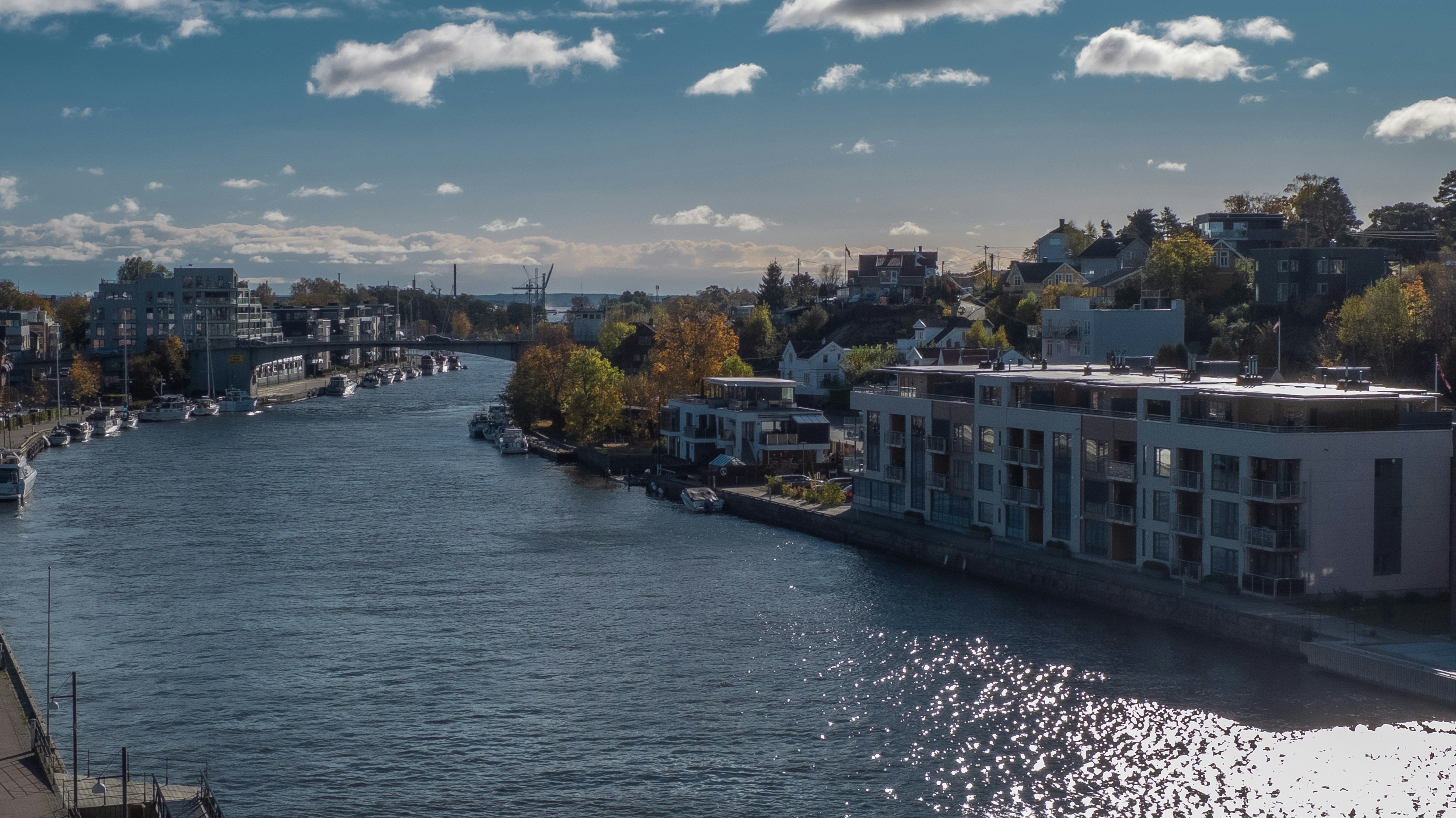 Serenity by the Waterside: A Urban Retreat