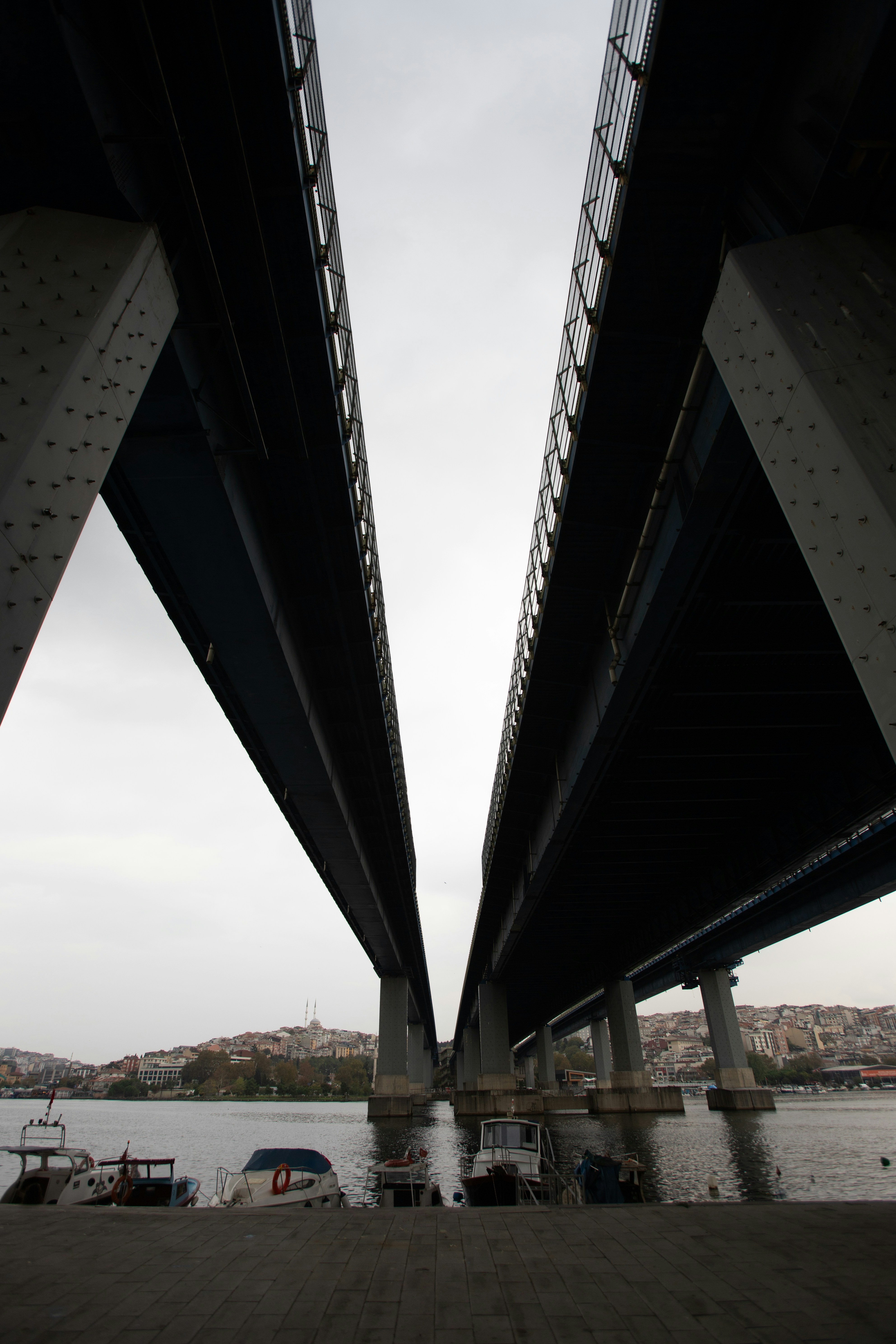 Under the Arching Giants: A Bridge Perspective