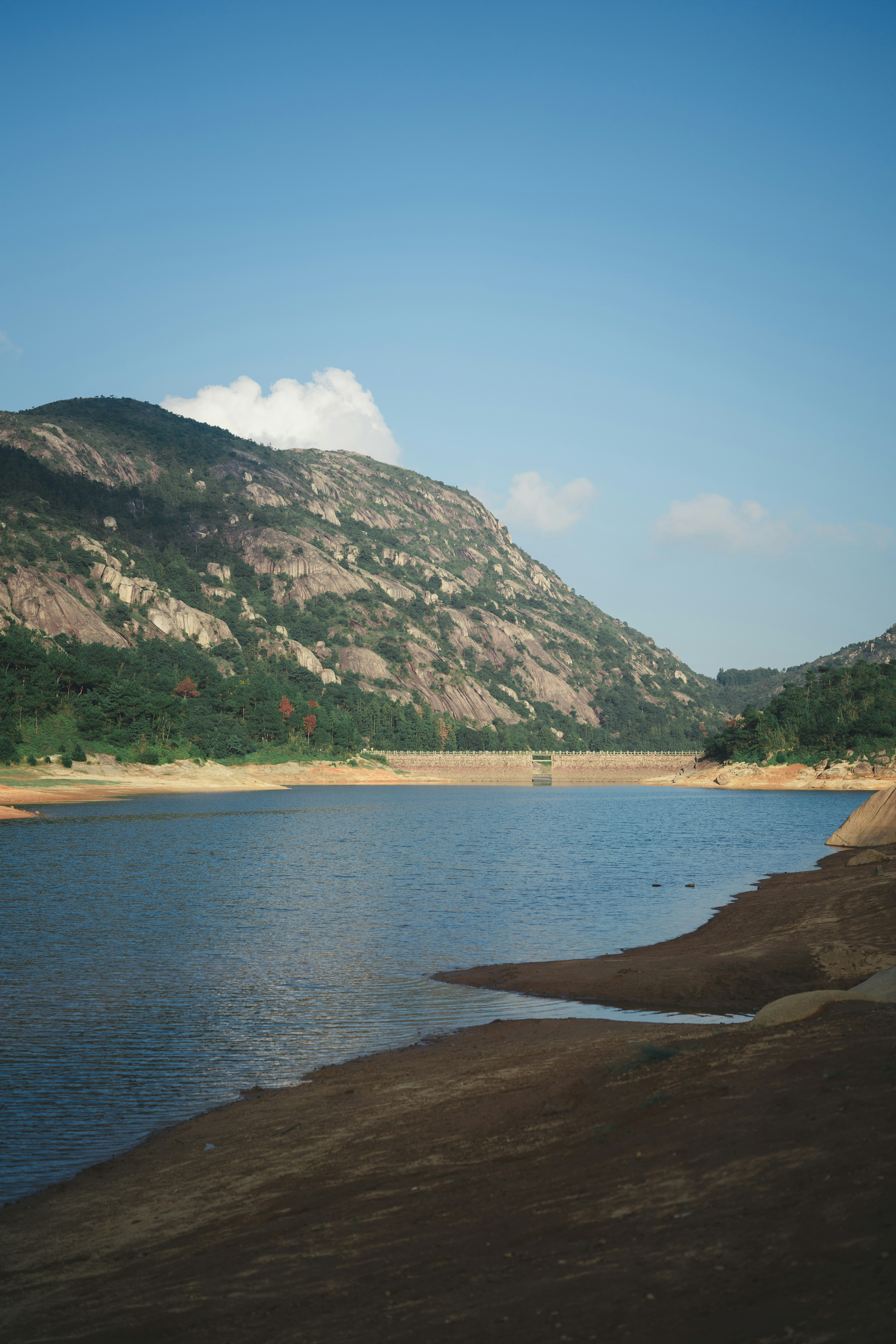 Tranquil Waters: A Journey Through Nature's Palette
