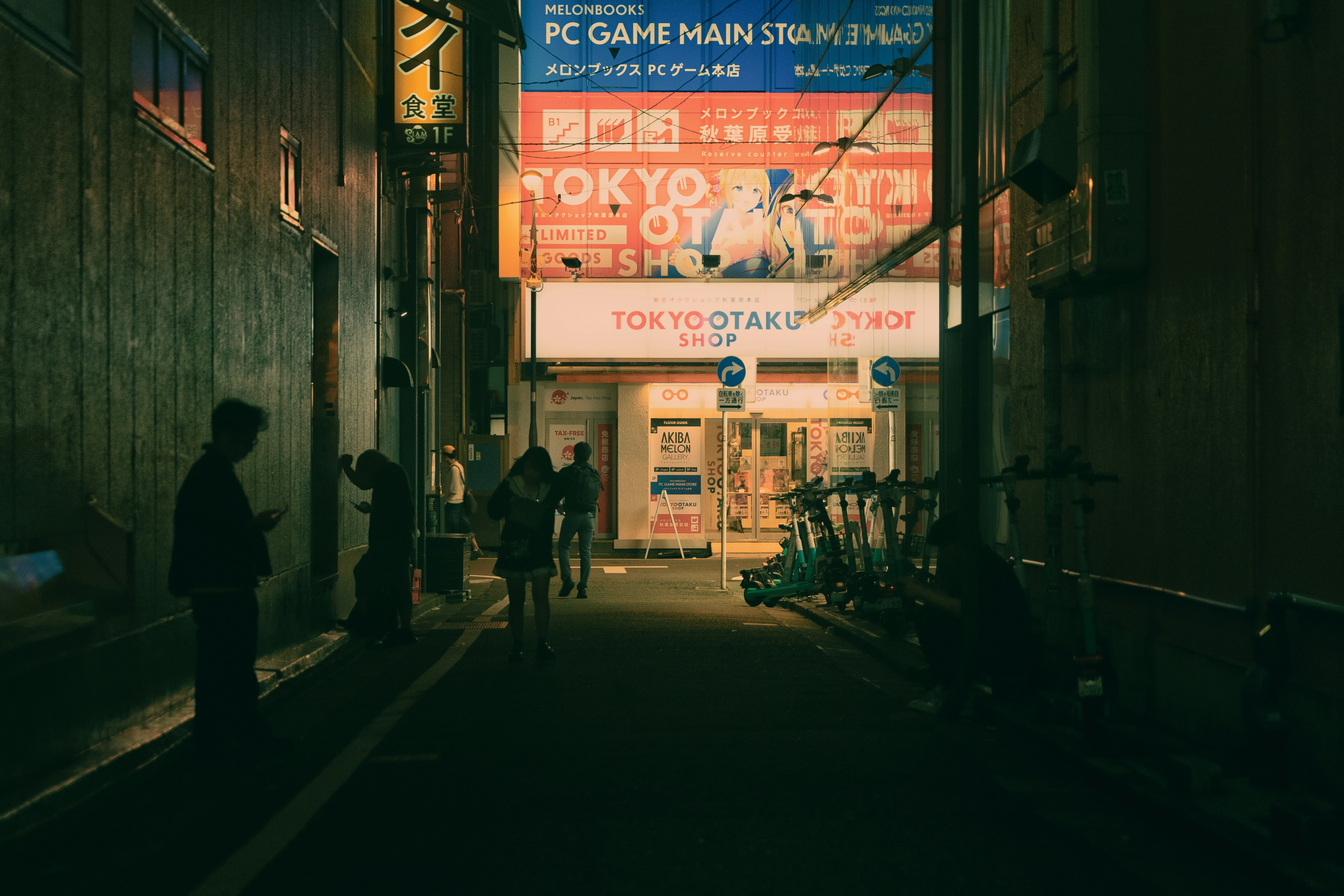 Neon Alleyway: A Glimpse into Tokyo's Otaku Culture