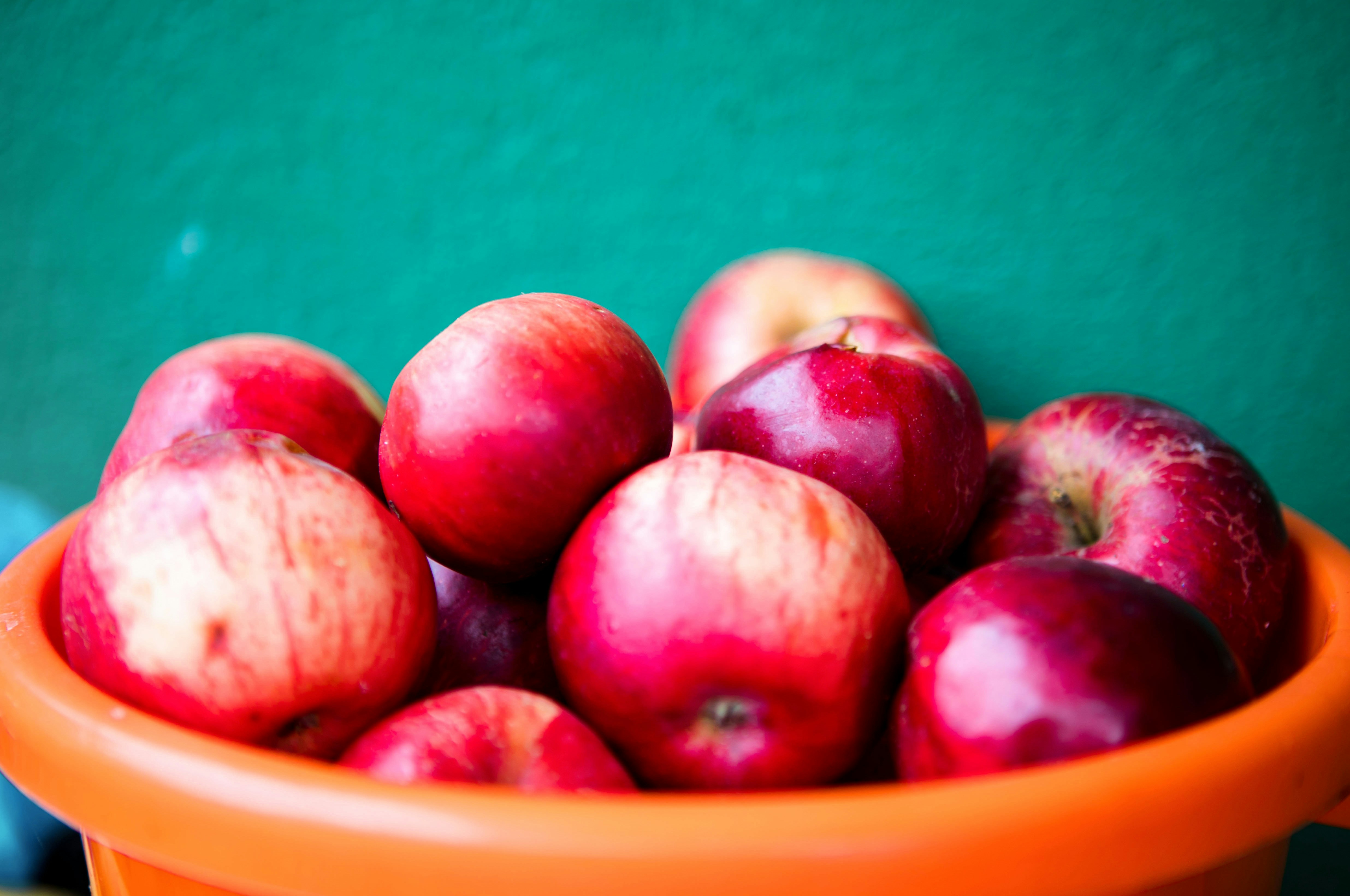 Harvested Richness: A Bounty of Red Apples