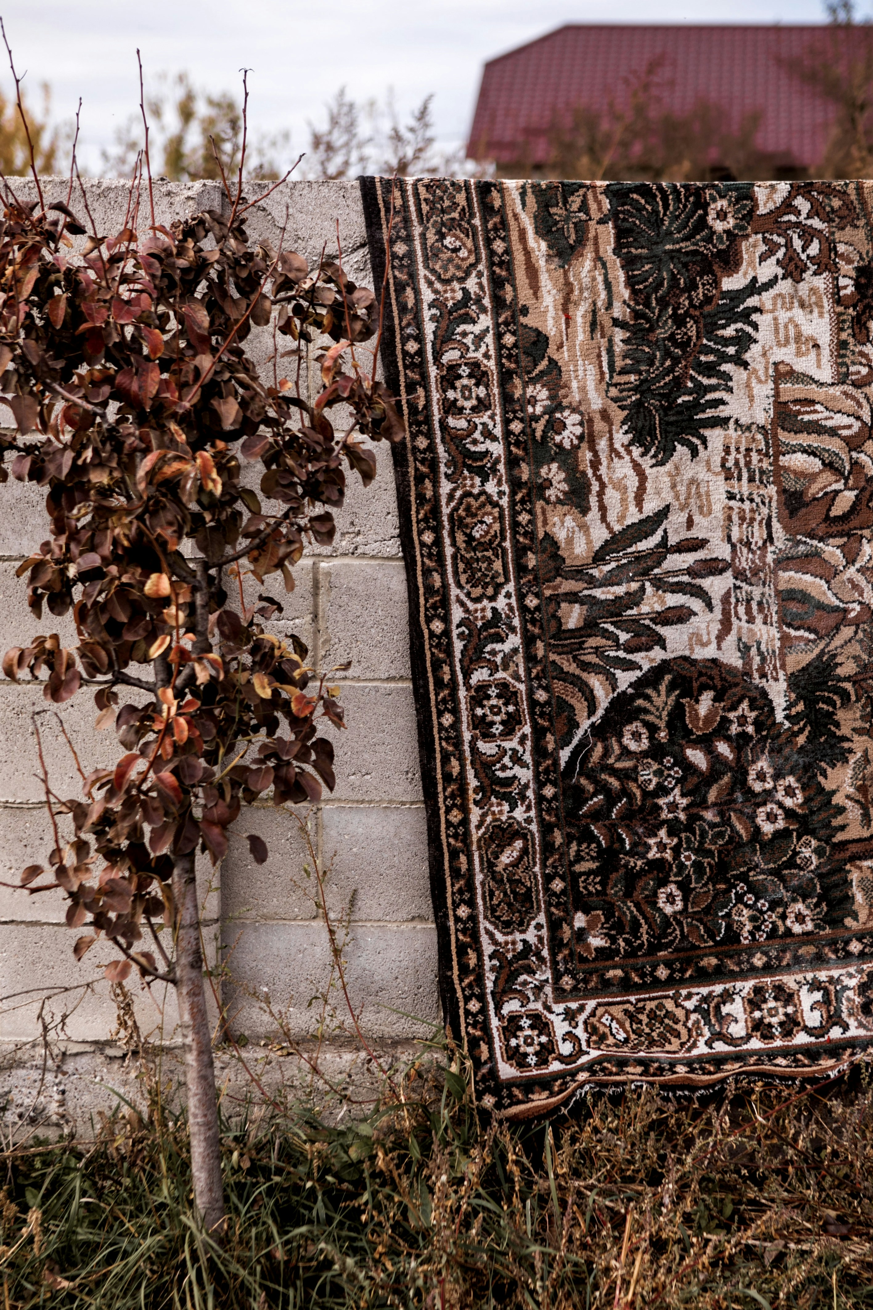A patterned rug hangs on a concrete wall.