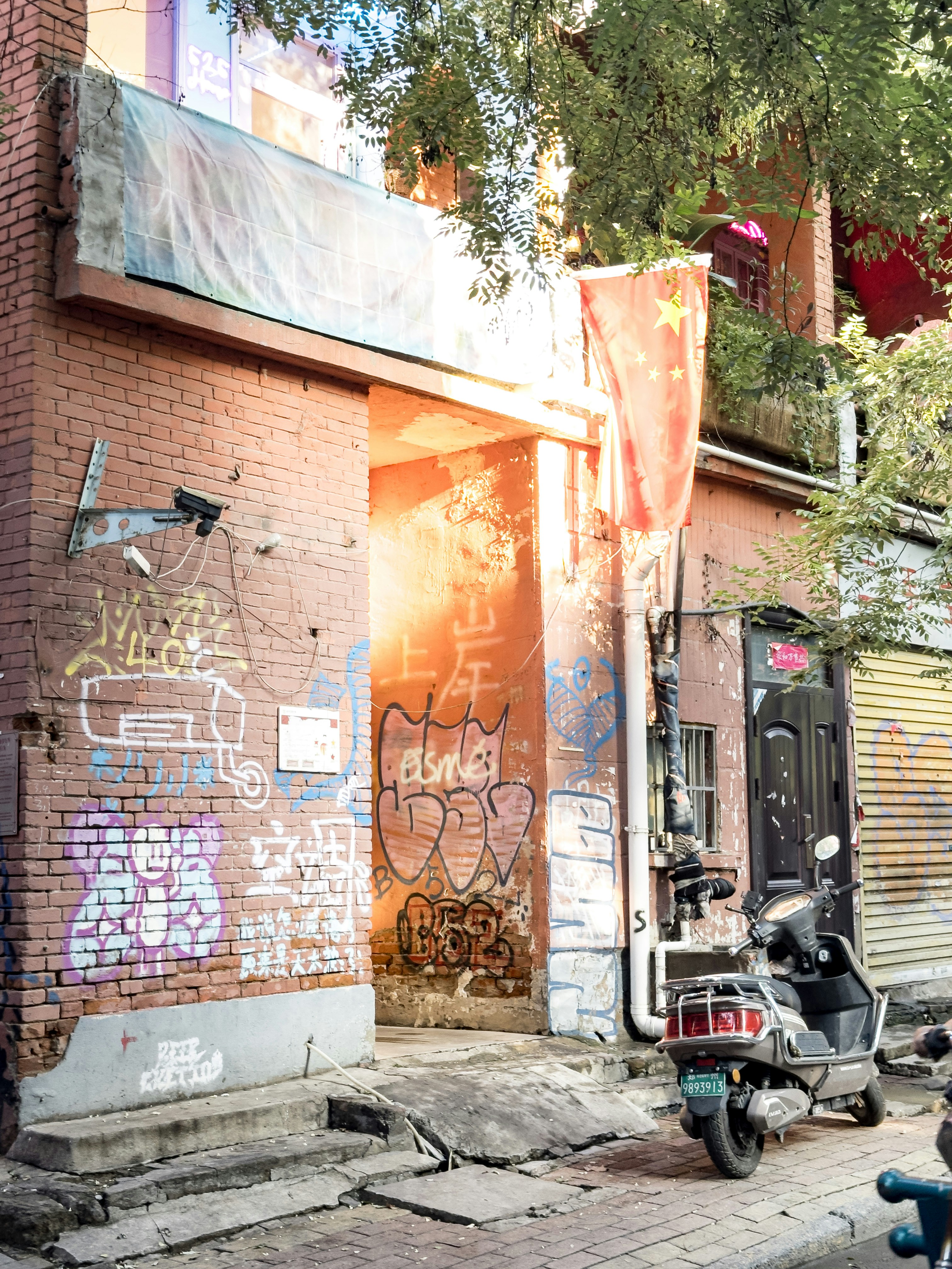 Urban Canvas: A Glimpse into Street Art Culture