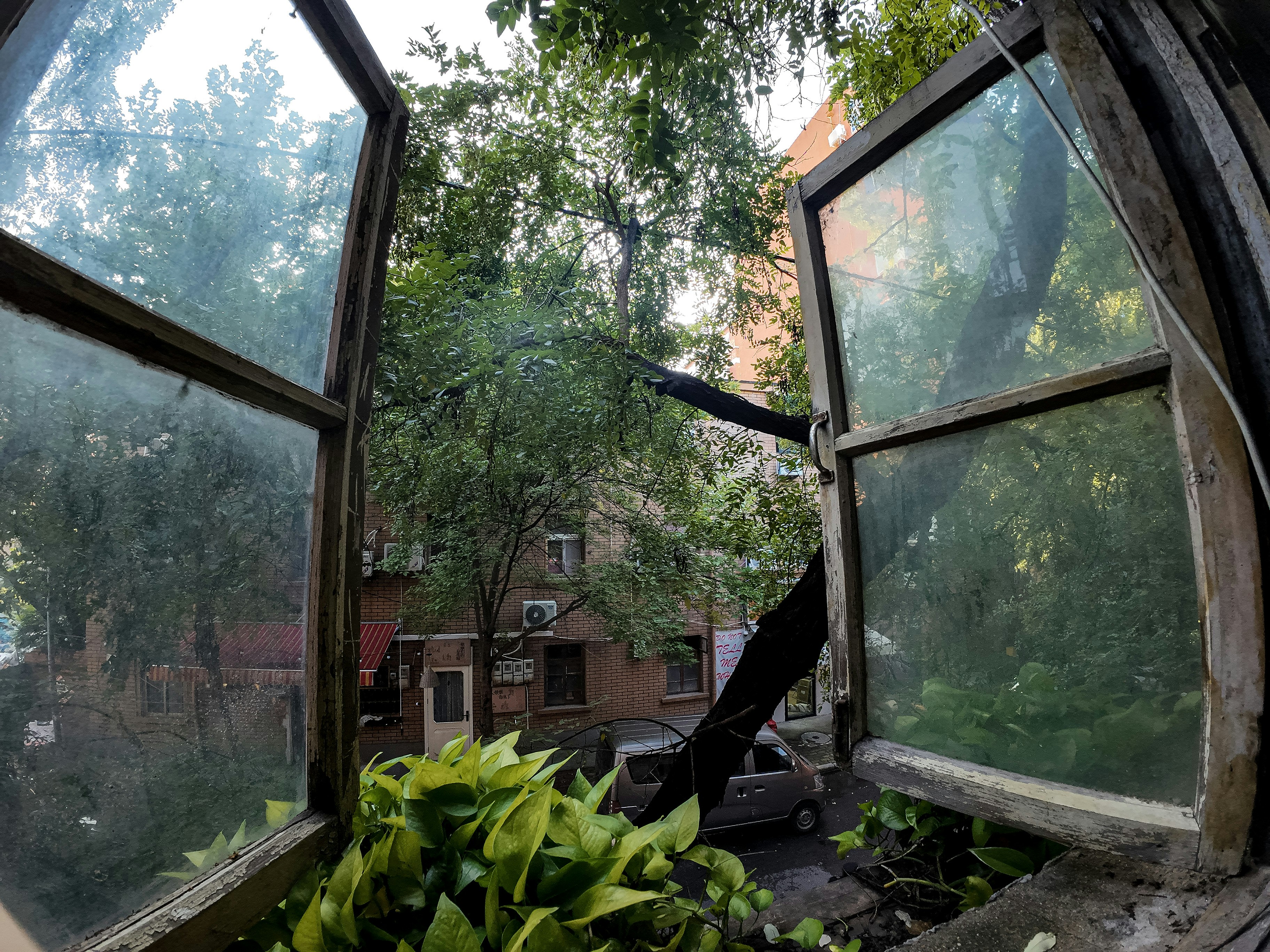 Open window overlooking green trees and buildings