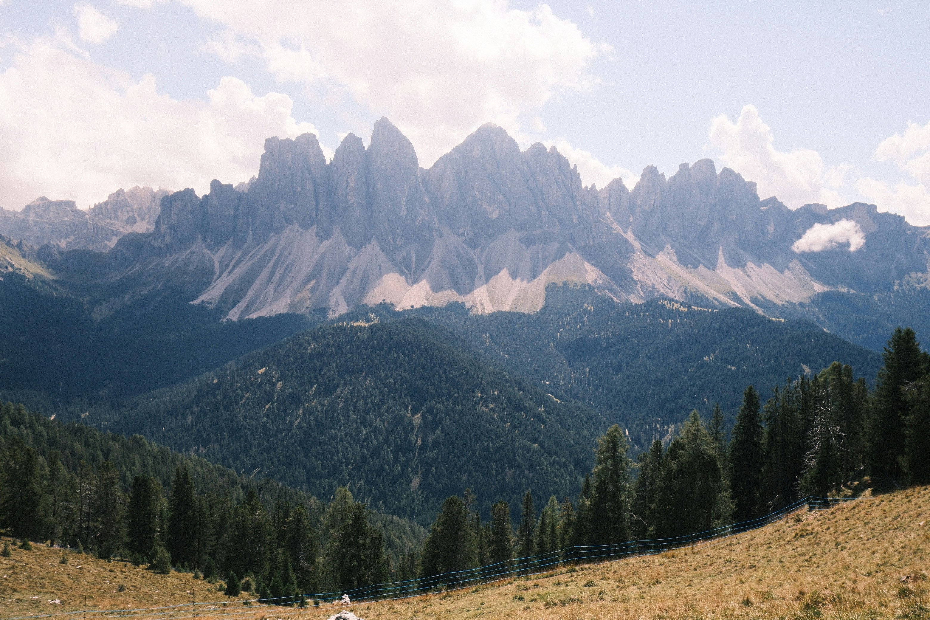 Jagged mountain range behind a dense forest