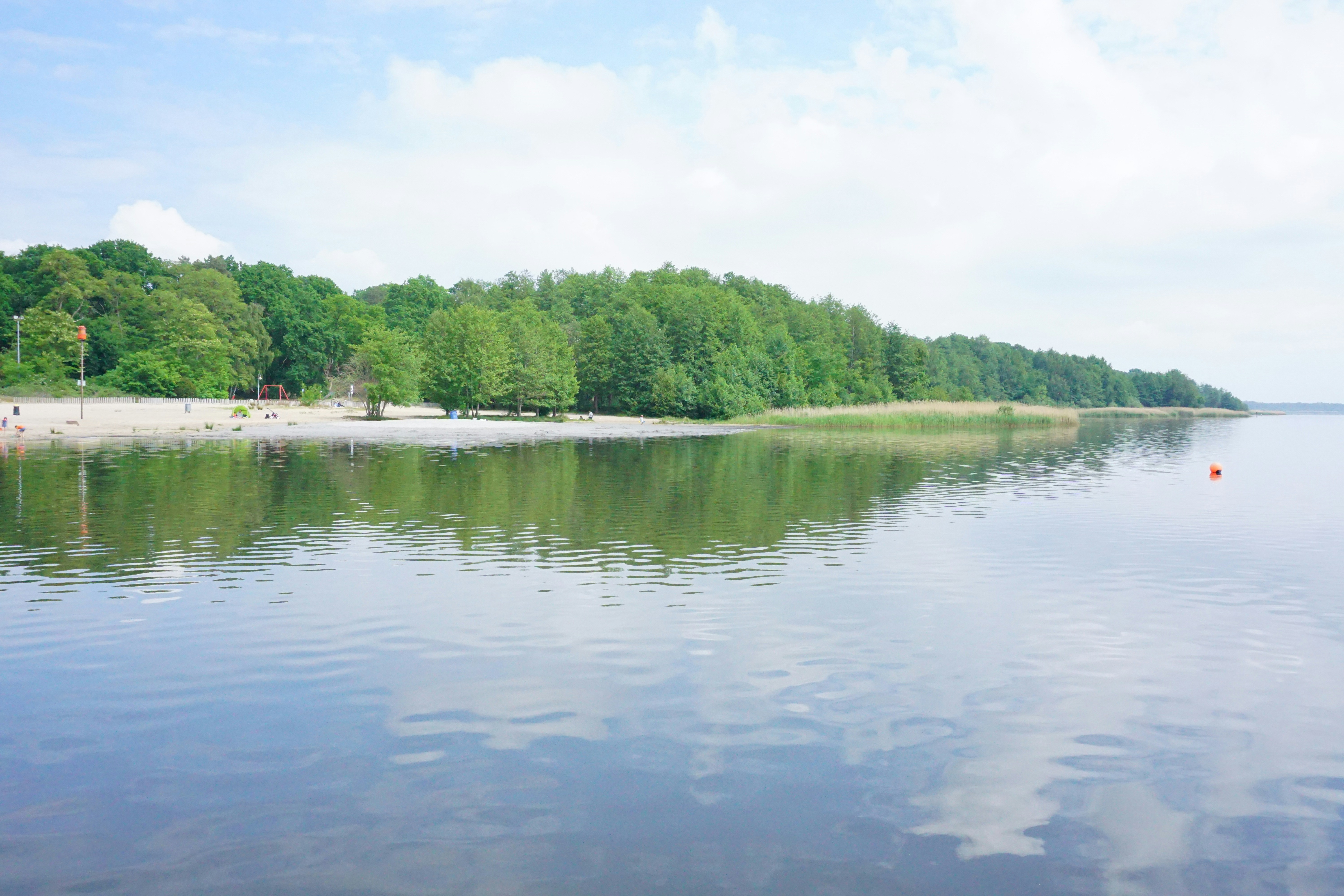 Steinhuder Meer | A calm lake reflects trees and a sandy beach.
