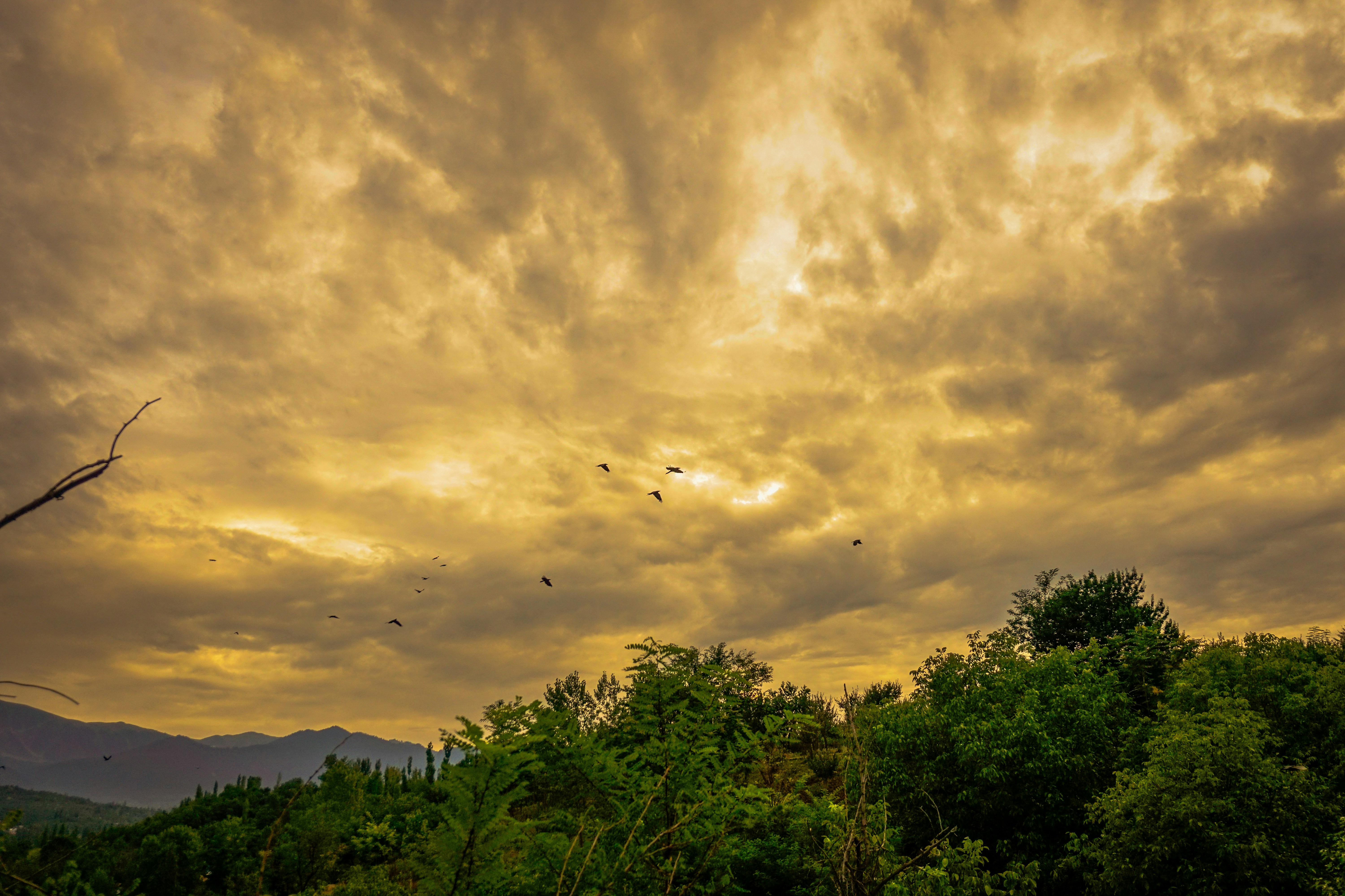 Copper Sunset over Quiet Hills with a Flock in Flight