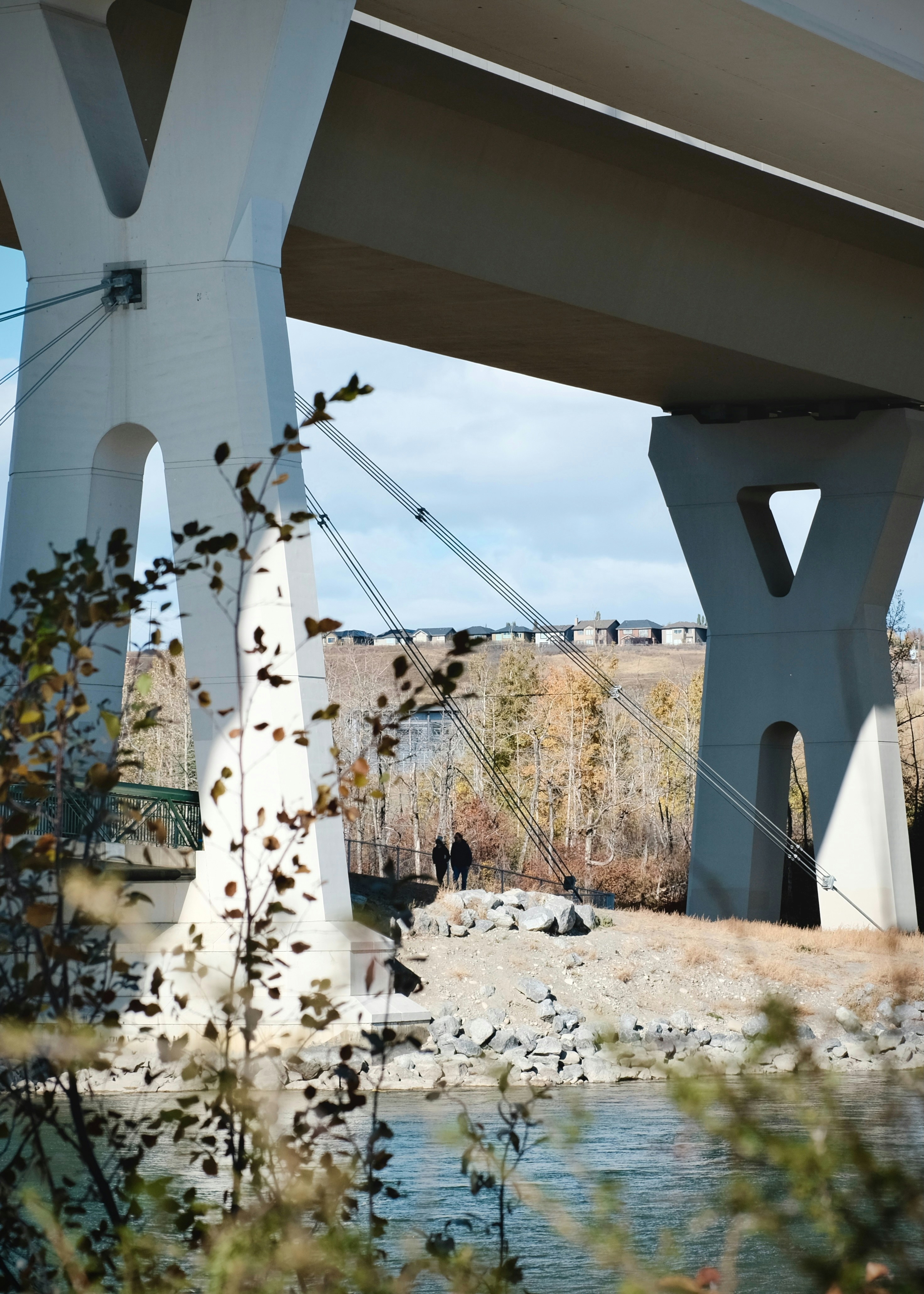 Under the Bridge: A Serene Stroll
