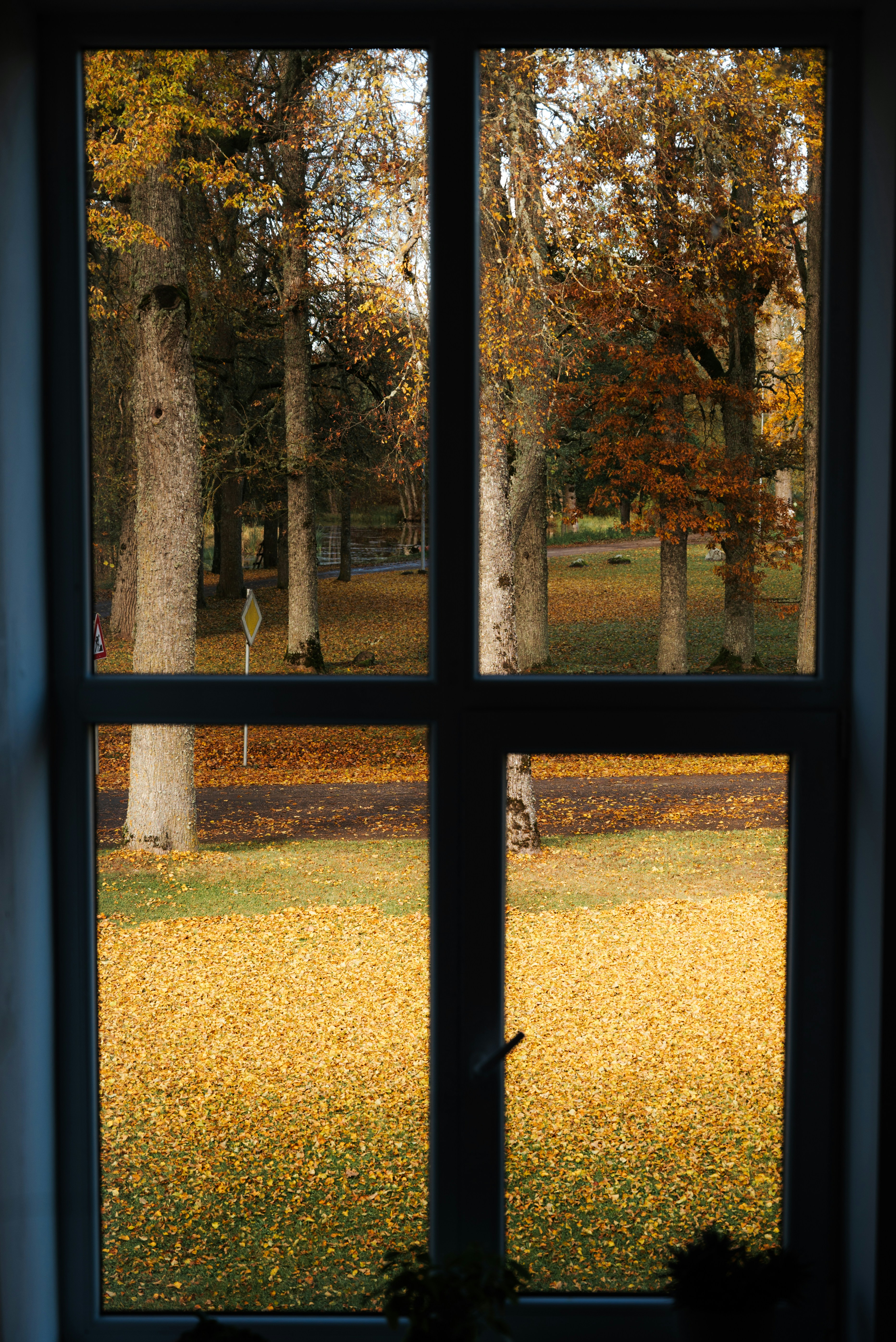 Autumn park scene viewed through a window