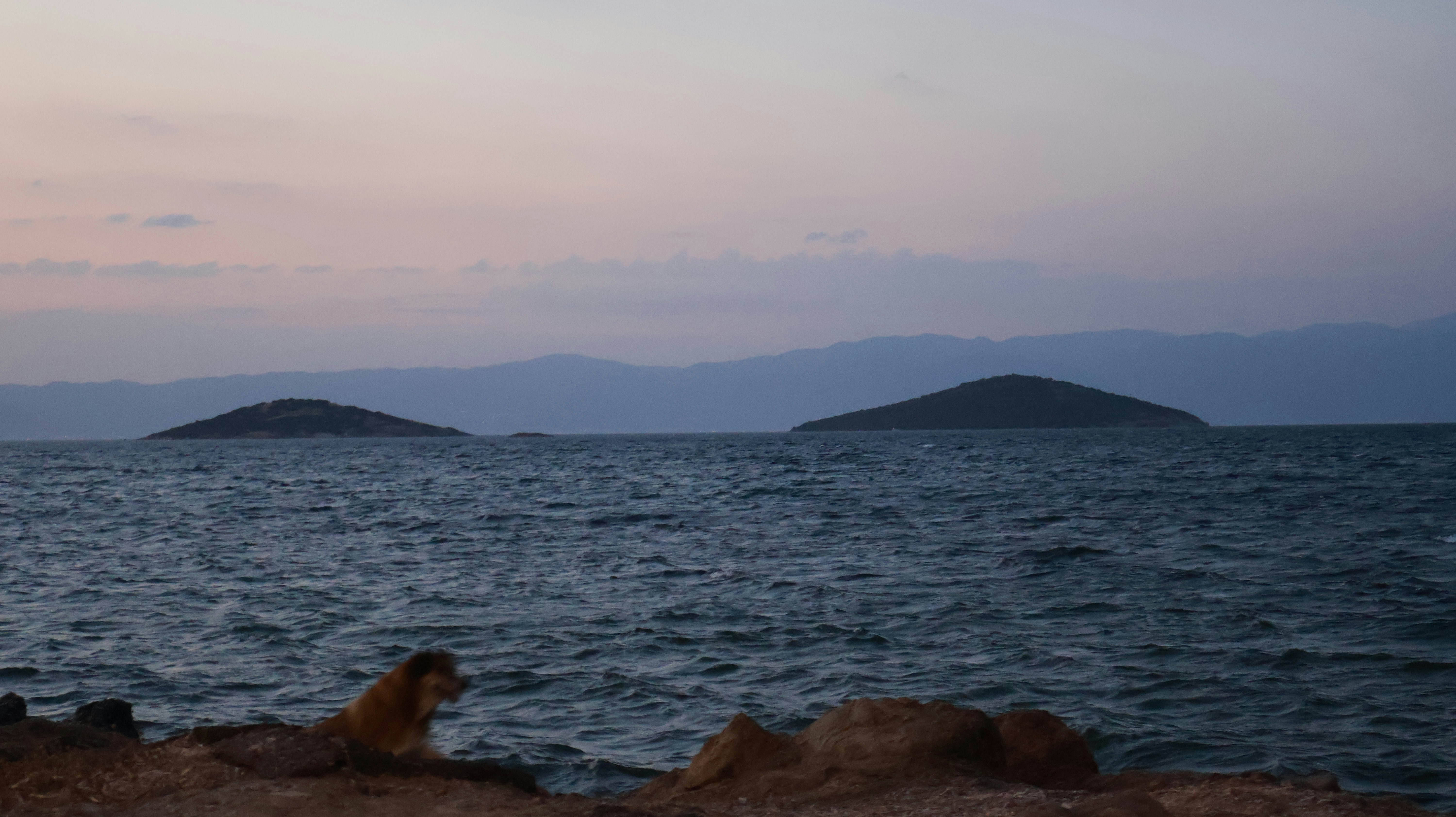 Twilight Reflections on the Coast