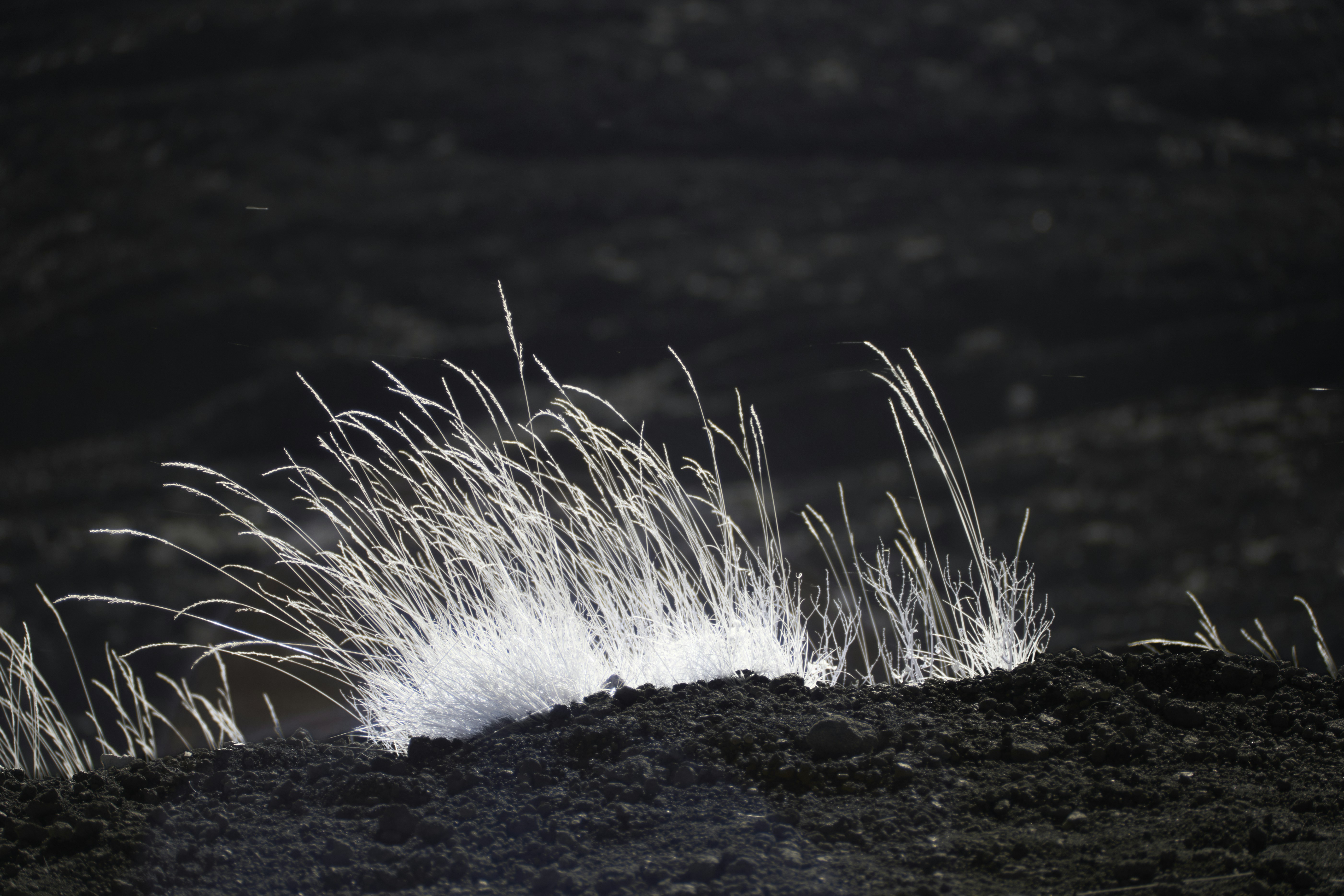 Eruption of Nature's Artistry
