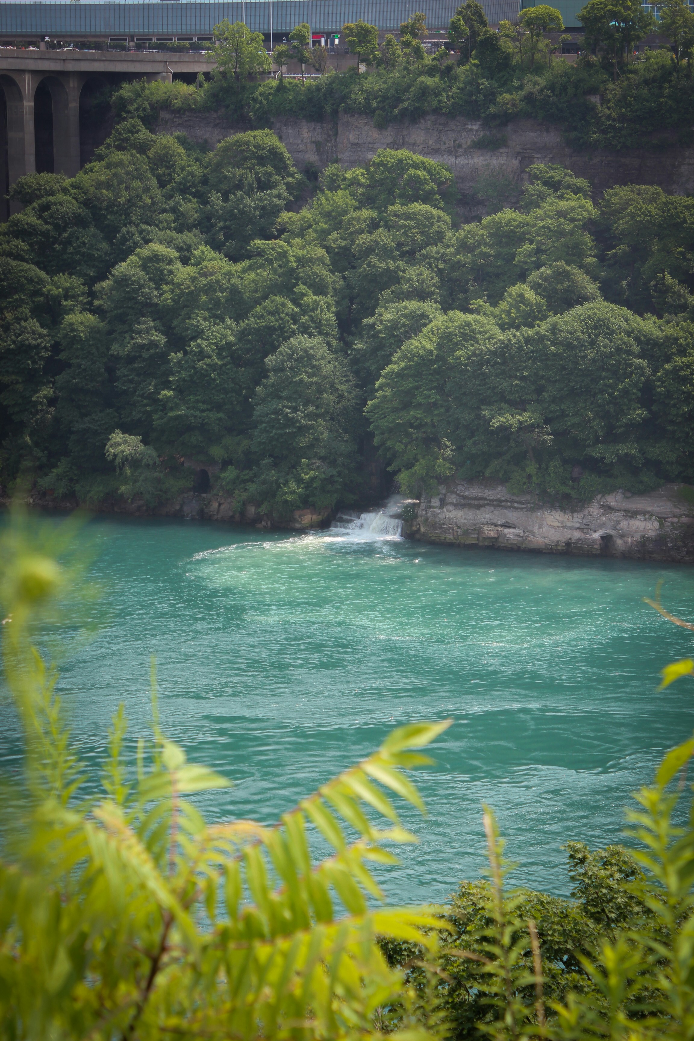 Turquoise water flows past lush green trees
