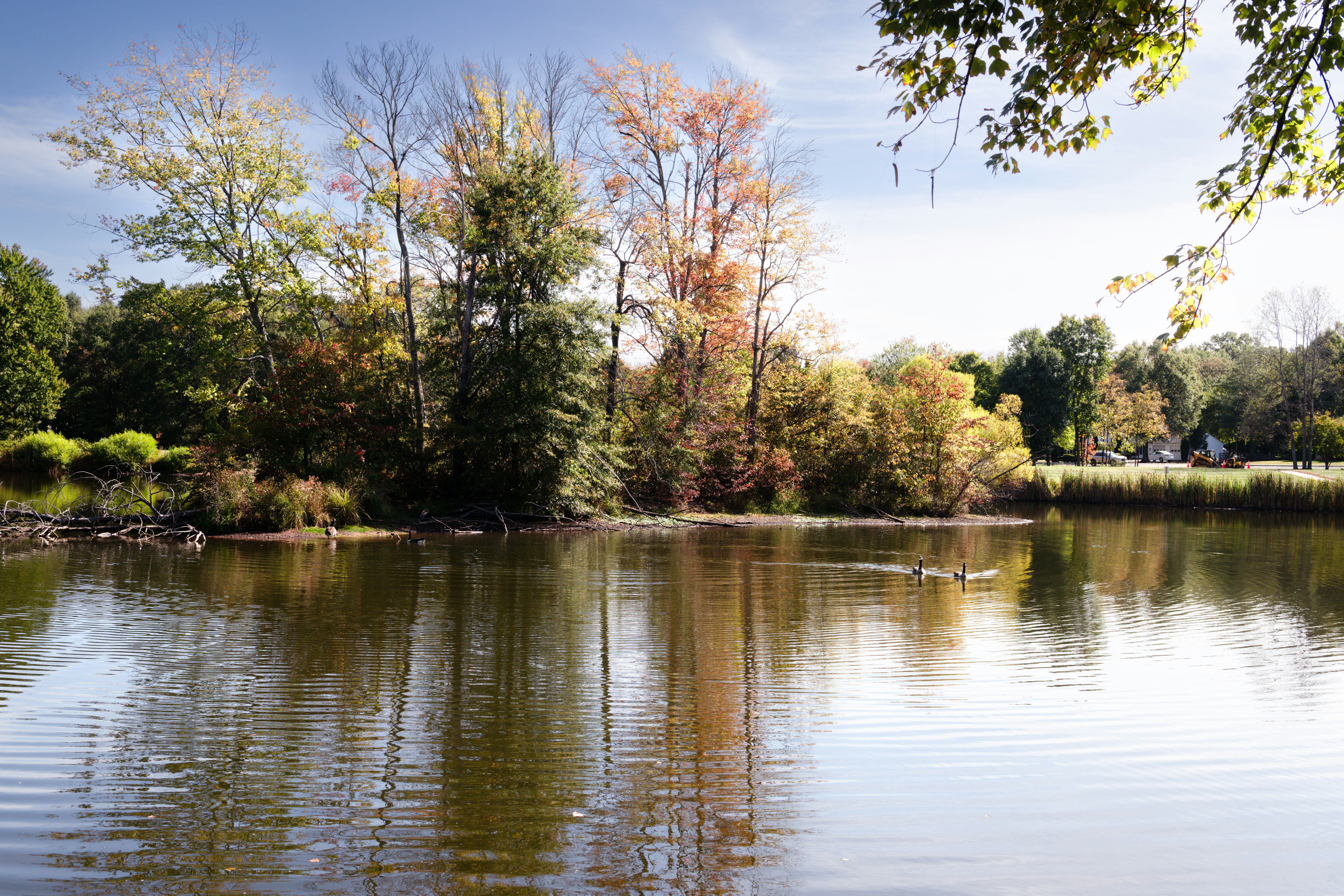 Autumn trees reflected in a calm lake