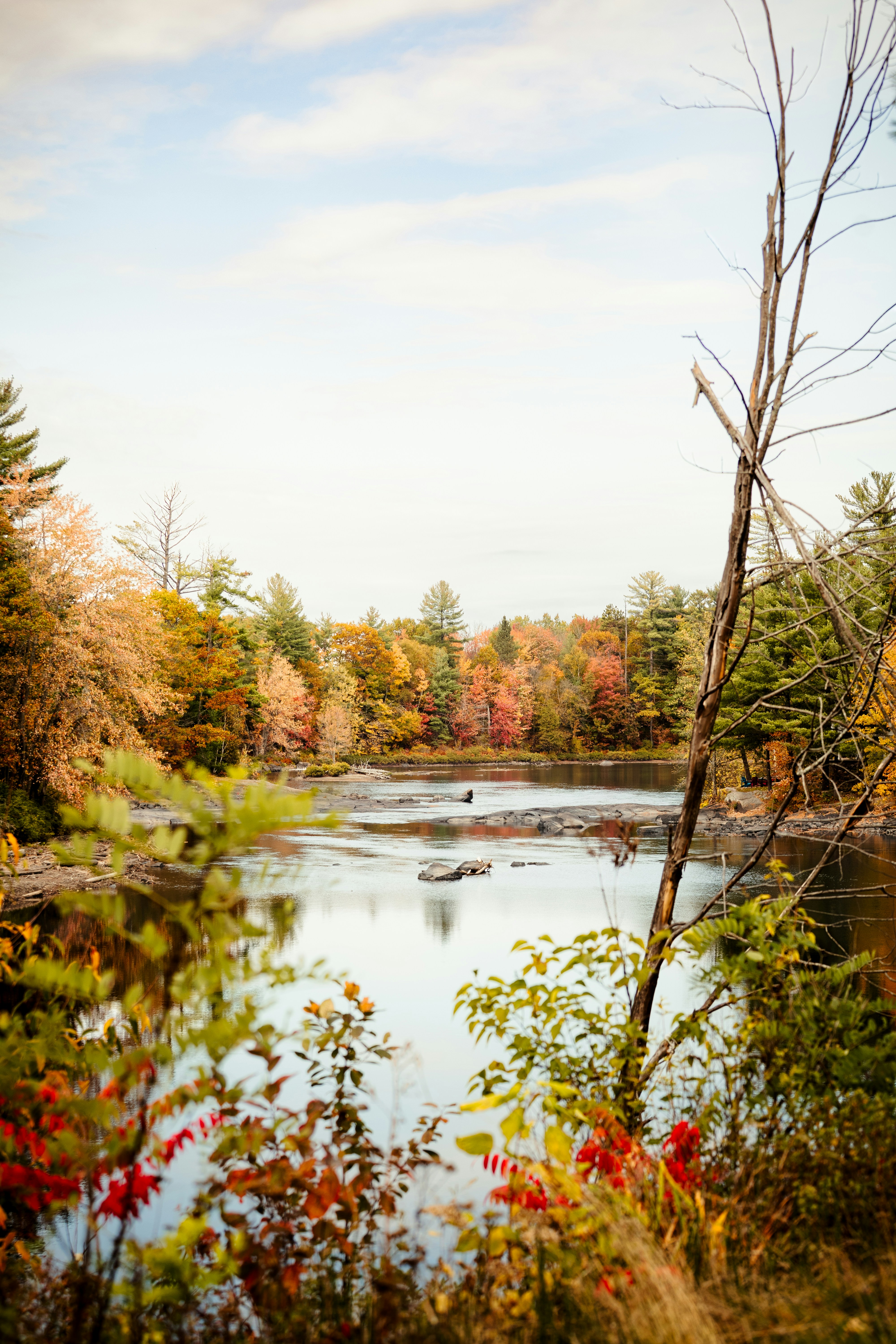 Autumn's Reflection: A Serene Waterway